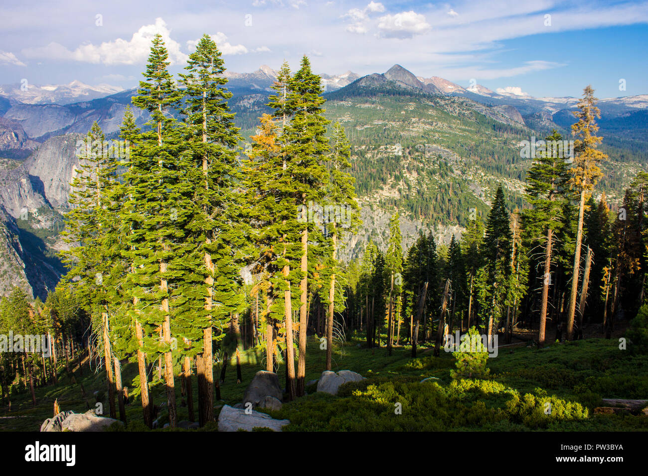 Views of Yosemite Valley from the Washburn Point observation area. A ...