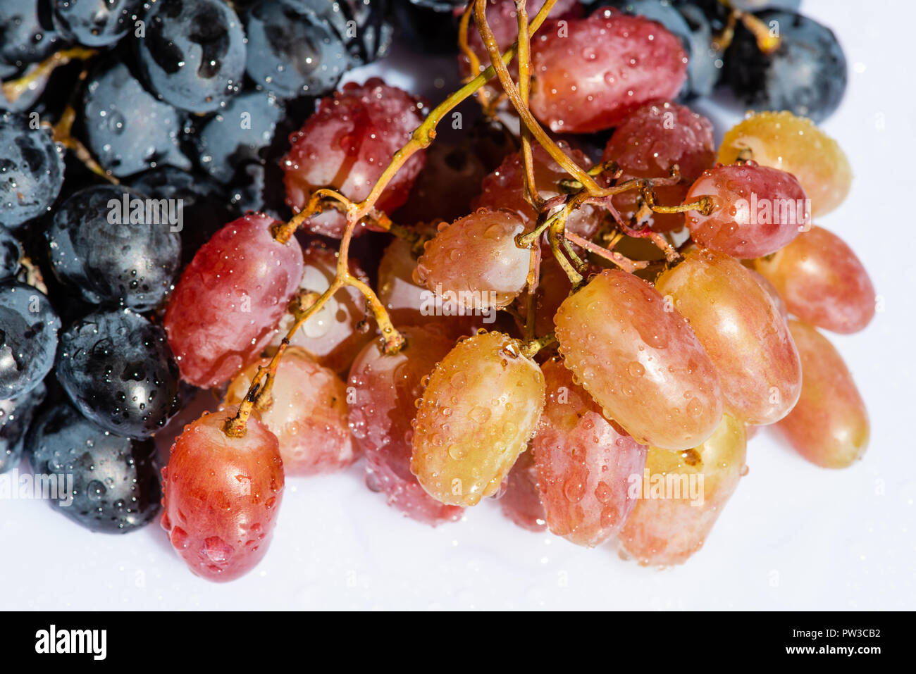 Two kinds of grape with water drops at studio Stock Photo - Alamy