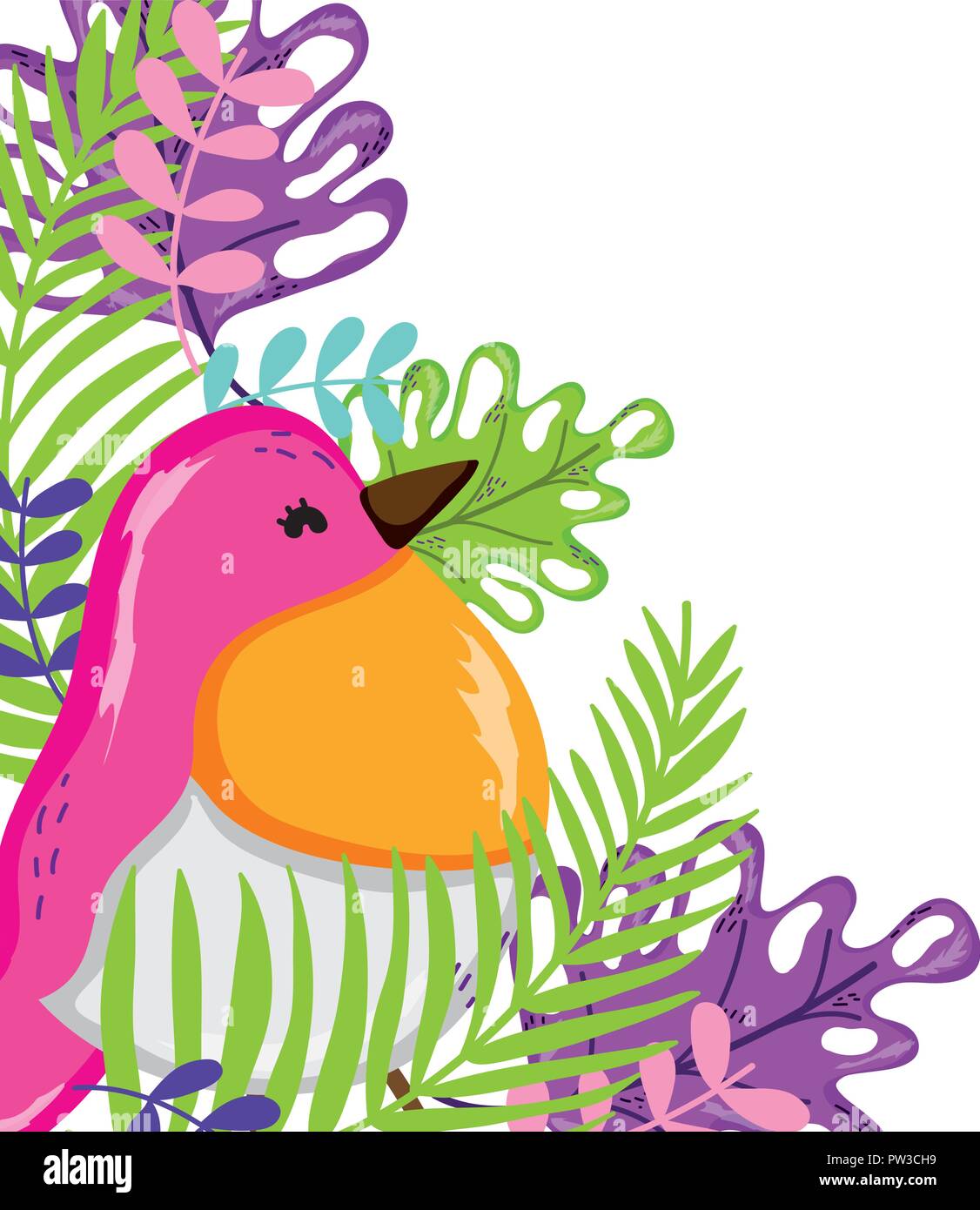 Exotic bird and summer Stock Vector Image & Art - Alamy