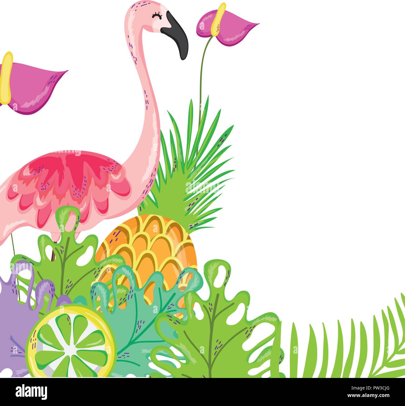 Exotic bird and summer Stock Vector Image & Art - Alamy
