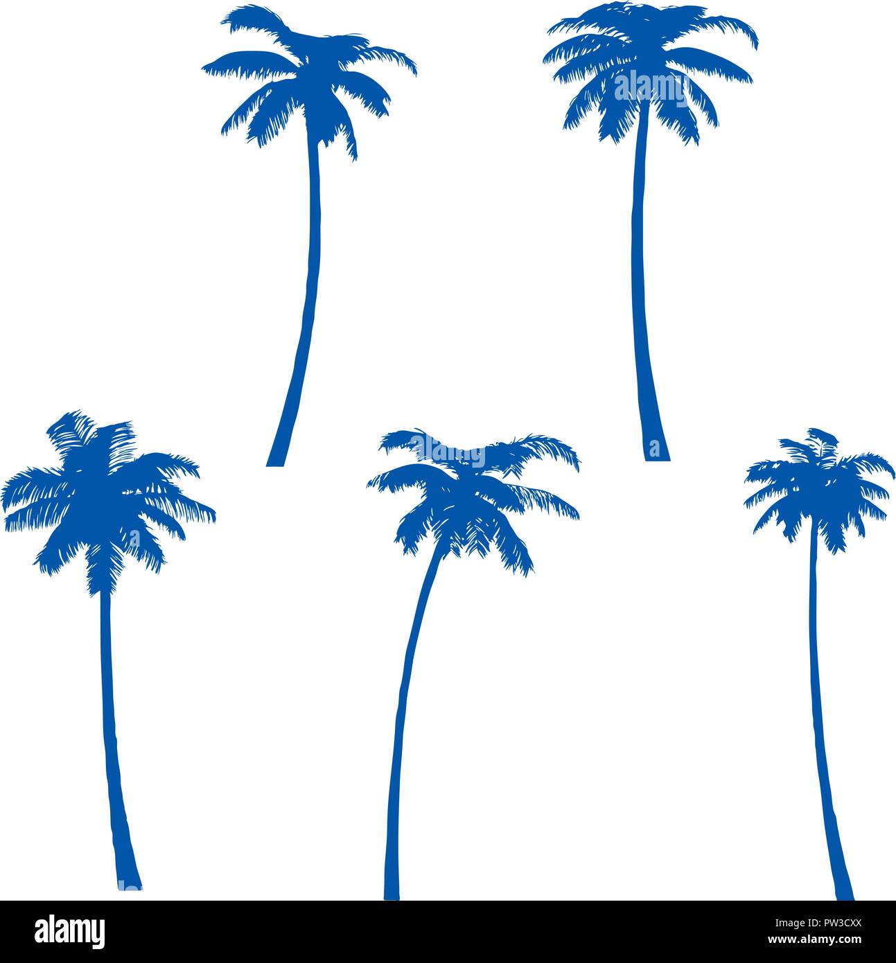 Palm frond shadow on Stock Vector Images - Alamy