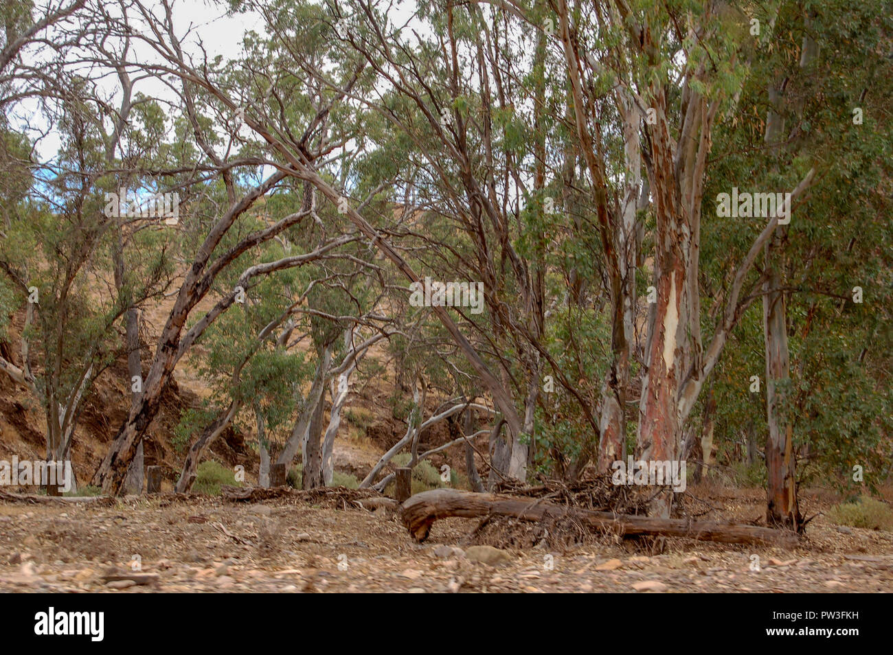 Flinders Ranges South Australia Stock Photo - Alamy
