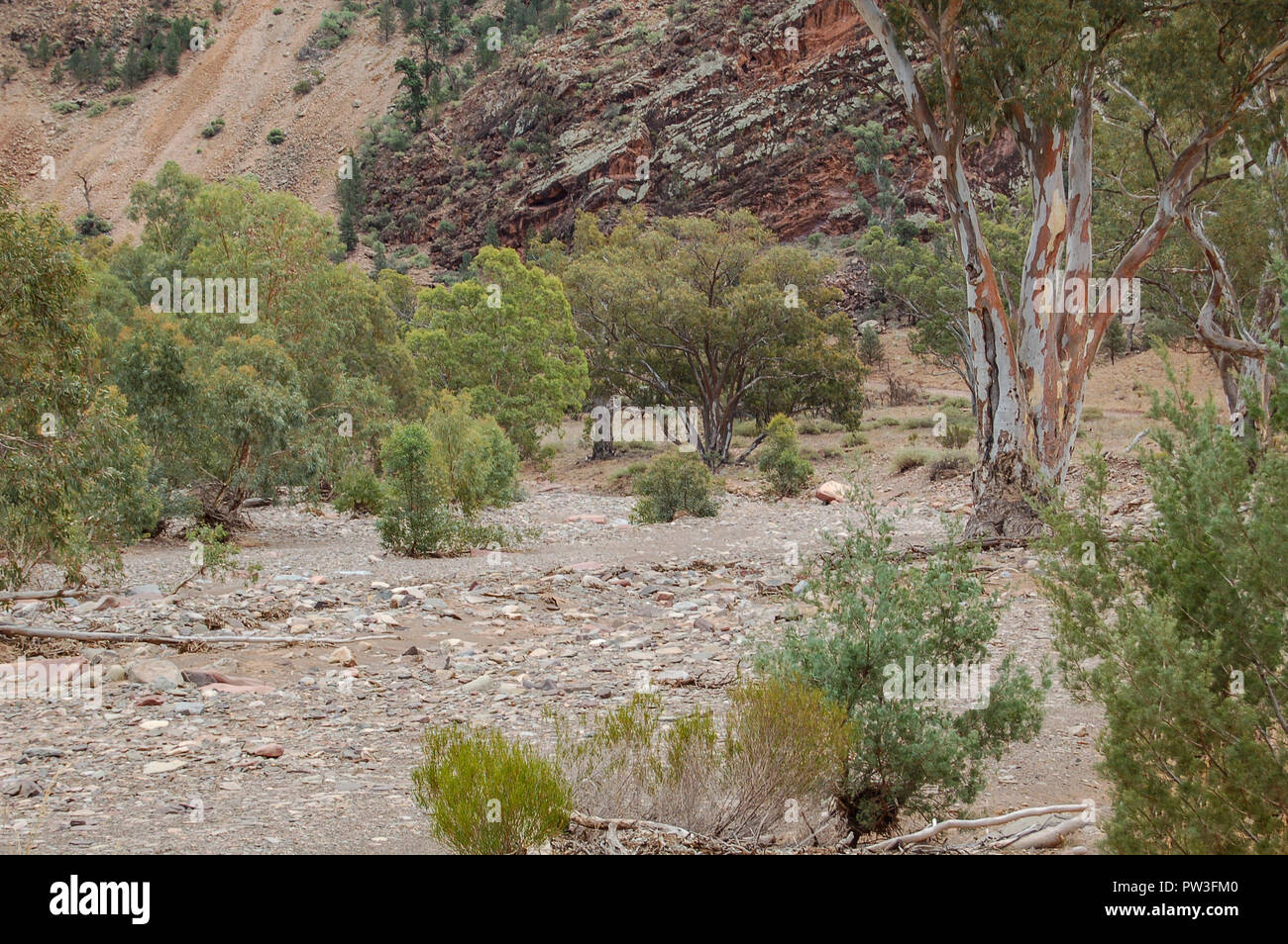 Flinders Ranges South Australia Stock Photo - Alamy