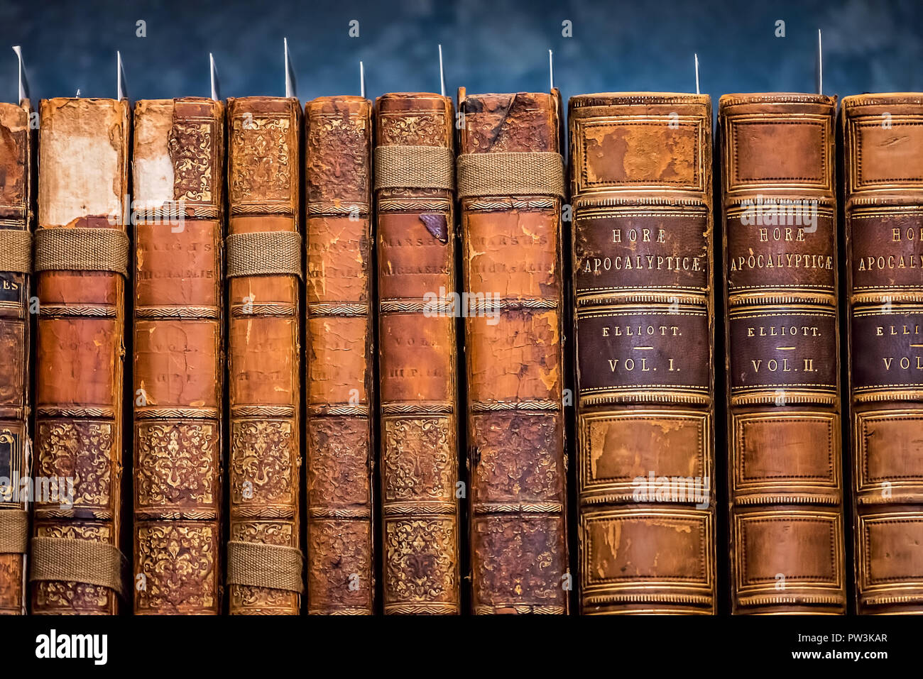 Softcover hi-res stock photography and images - Alamy