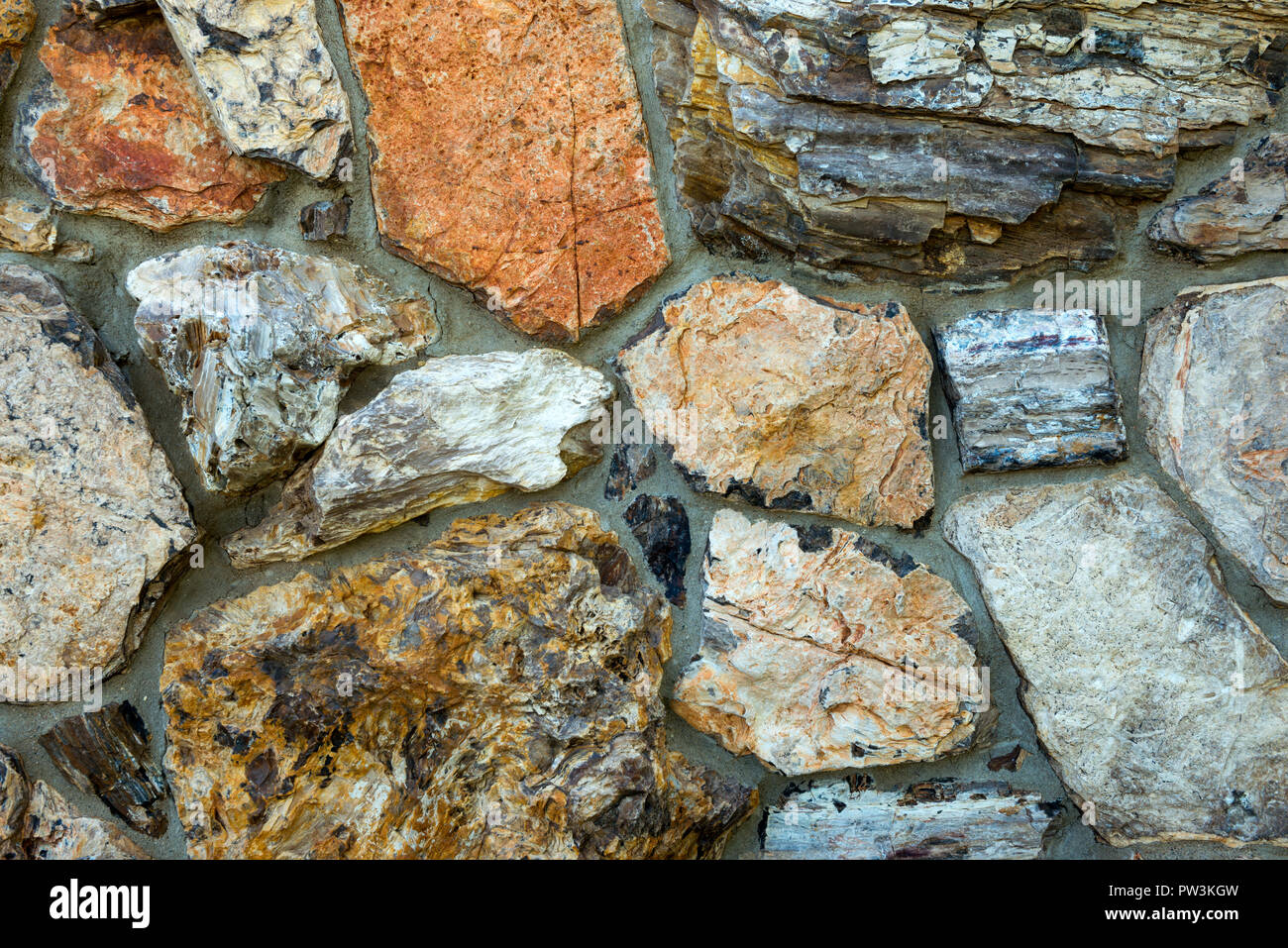 Petrified wood wall detail Stock Photo - Alamy
