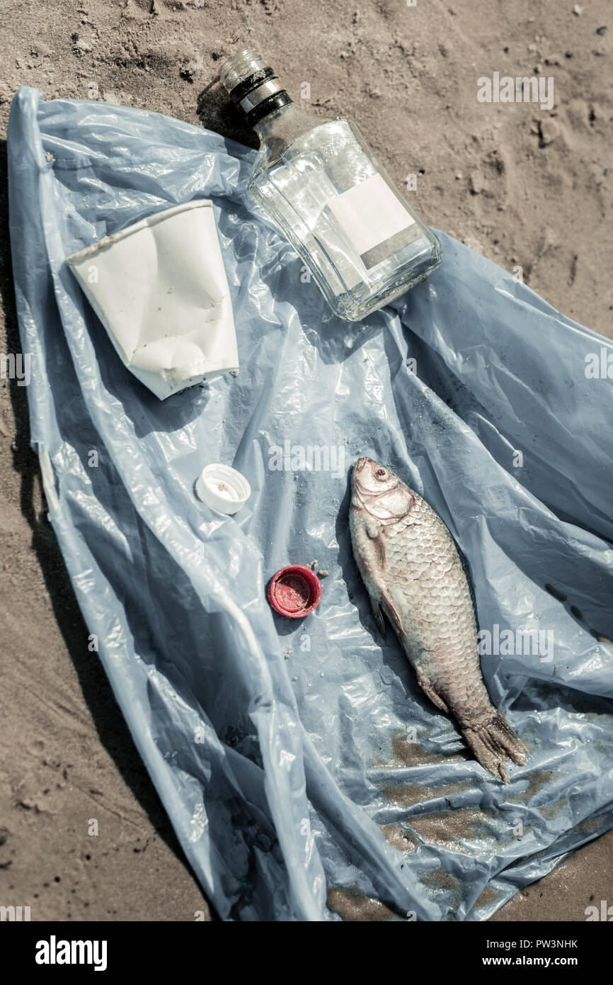 Close up of dead fish and empty glass alcohol bottles laying ashore the ...