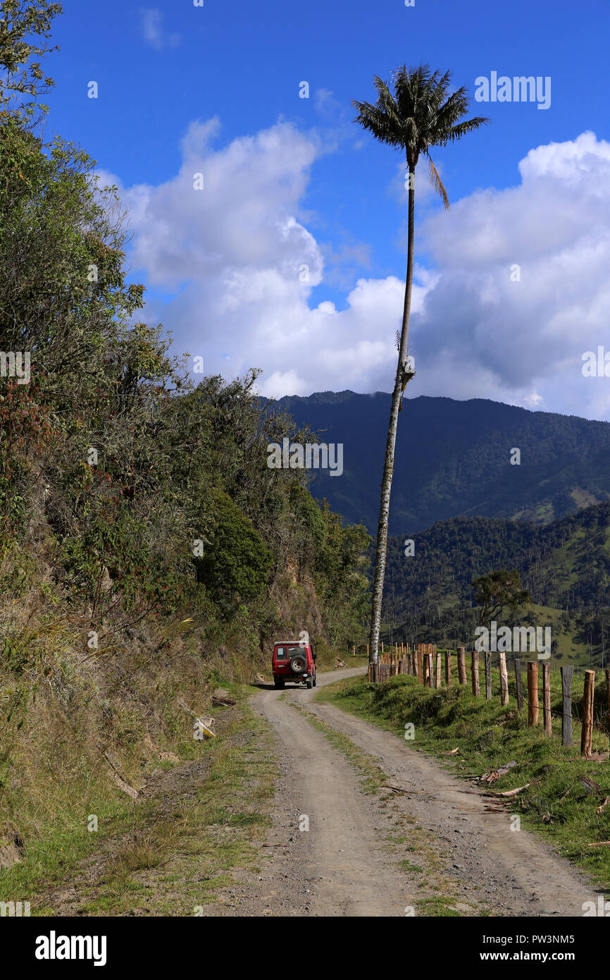 Wax palm tree colombia hi-res stock photography and images - Alamy