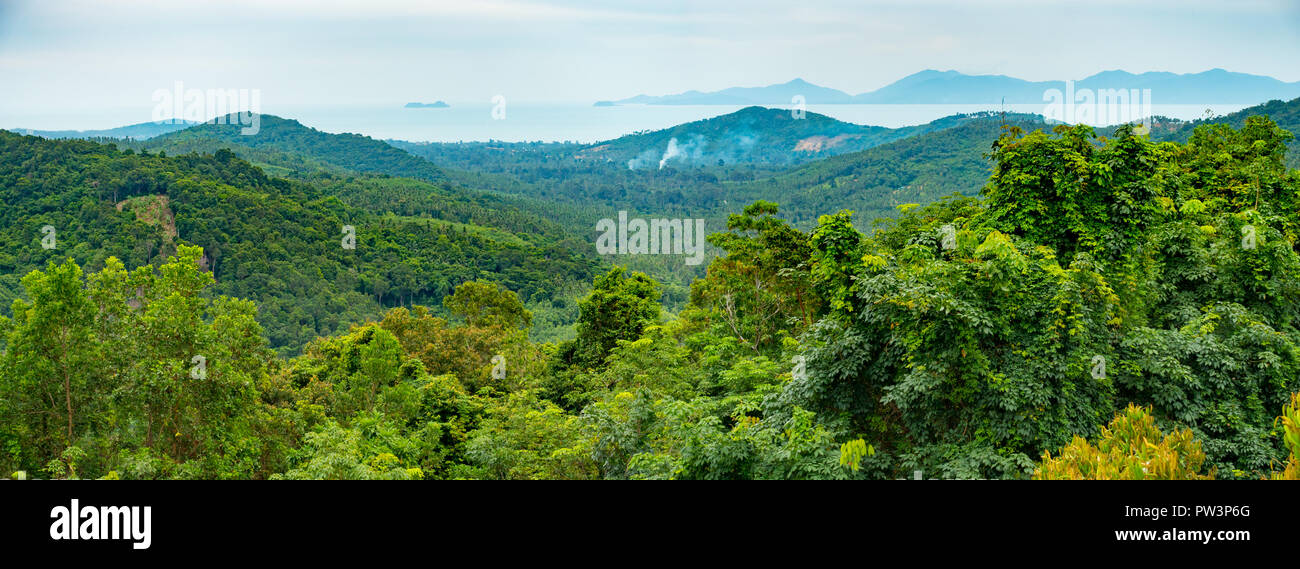 Panoramic view of Koh Samui island jungle from a hill top, Thailand ...