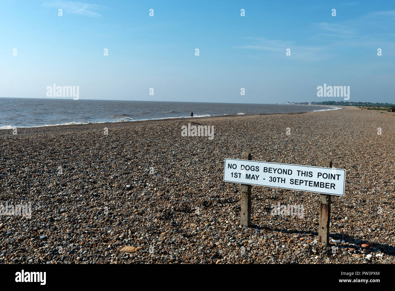 No dogs beyond this point sign Stock Photo - Alamy