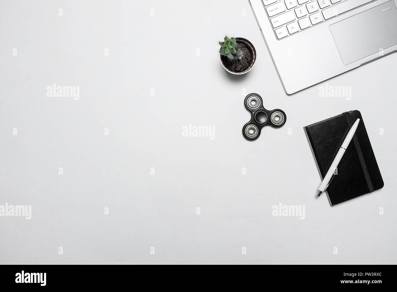 Minimal modern workspace. Composition with laptop, cactus, notebook ...