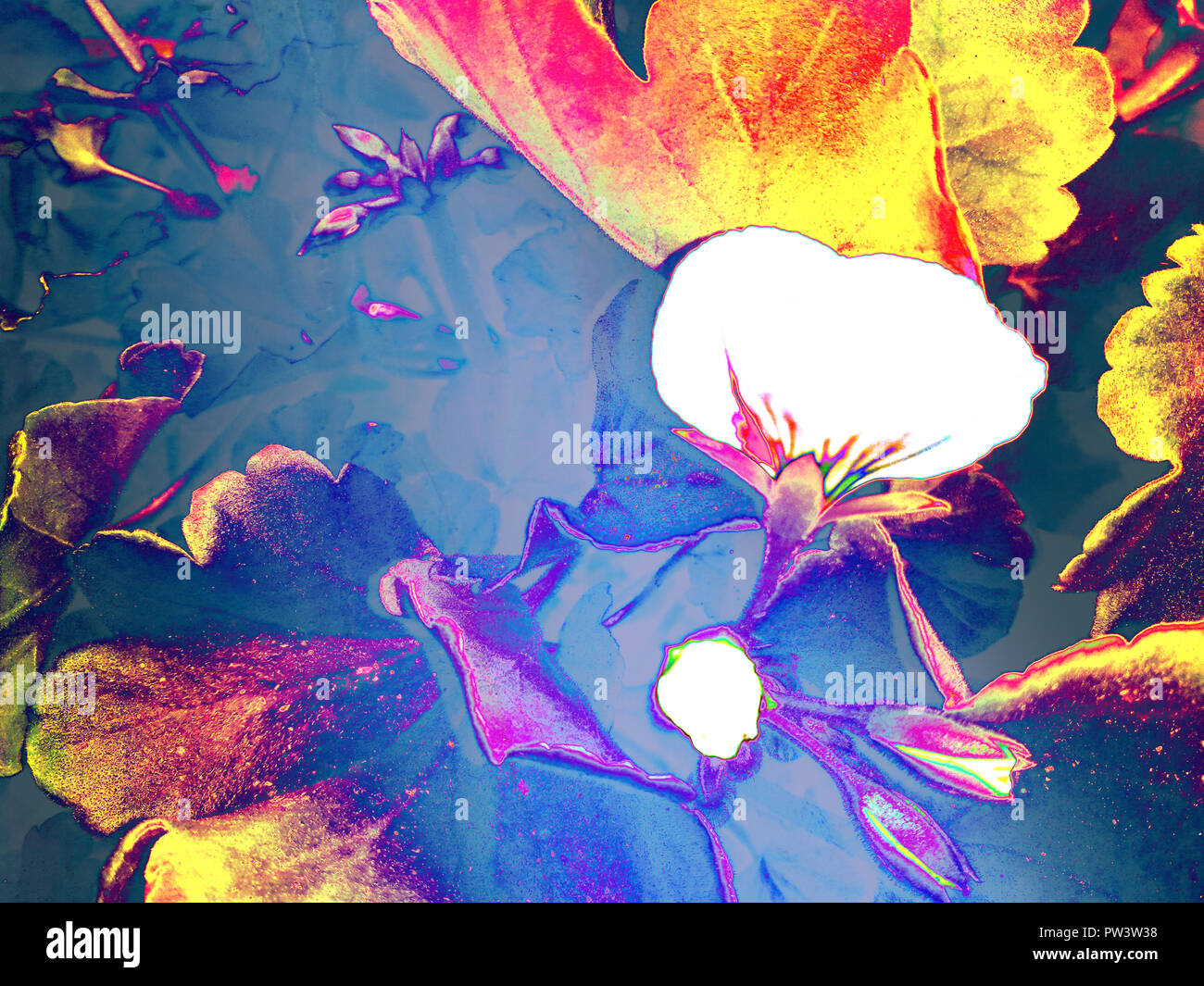 Delicate foliage pattern hi-res stock photography and images - Alamy