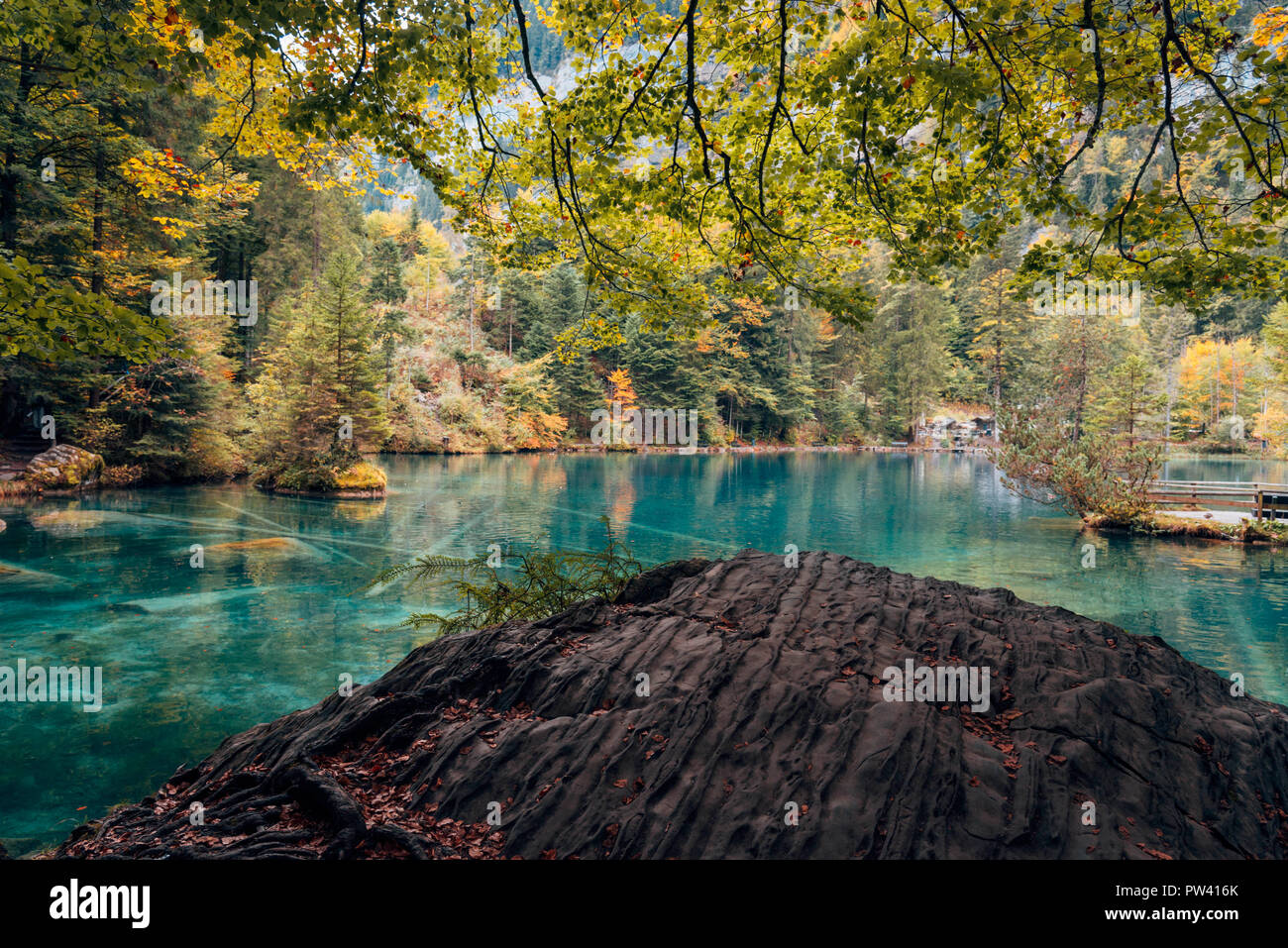 Autumn time at romantic forest lake Blausee, Switzerland Stock Photo ...