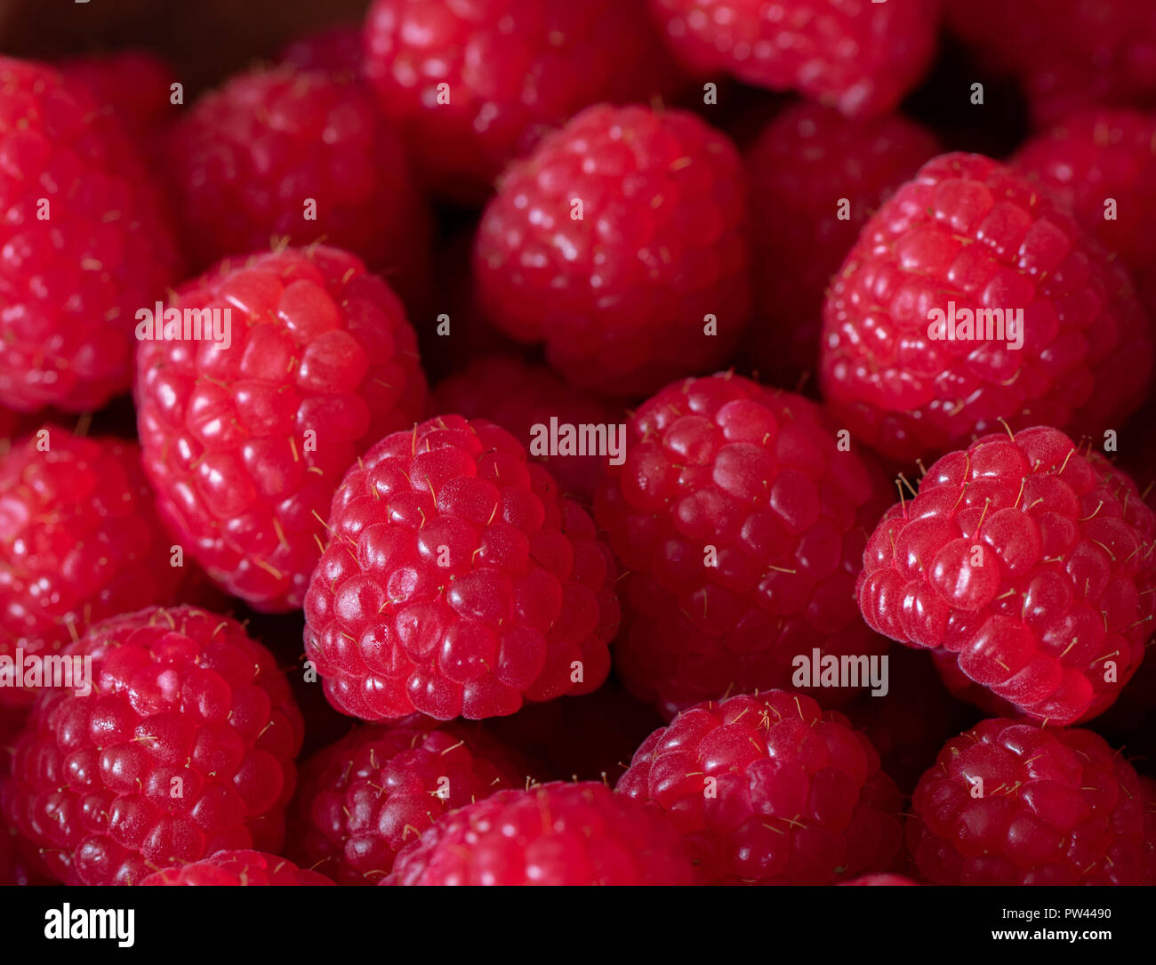 Raspise hi-res stock photography and images - Alamy