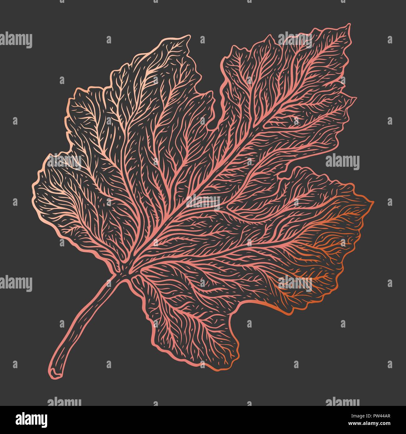 Beautiful detailed leaf. Botanical Hand drawn Vector Outline leaves ...