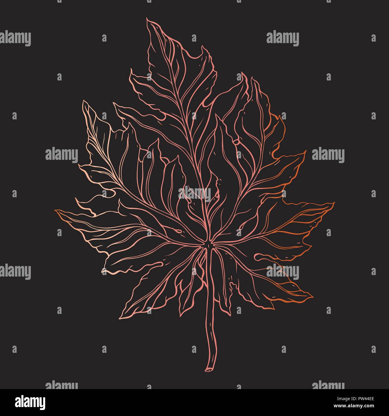 Beautiful detailed leaf. Botanical Hand drawn realistic Vector ...