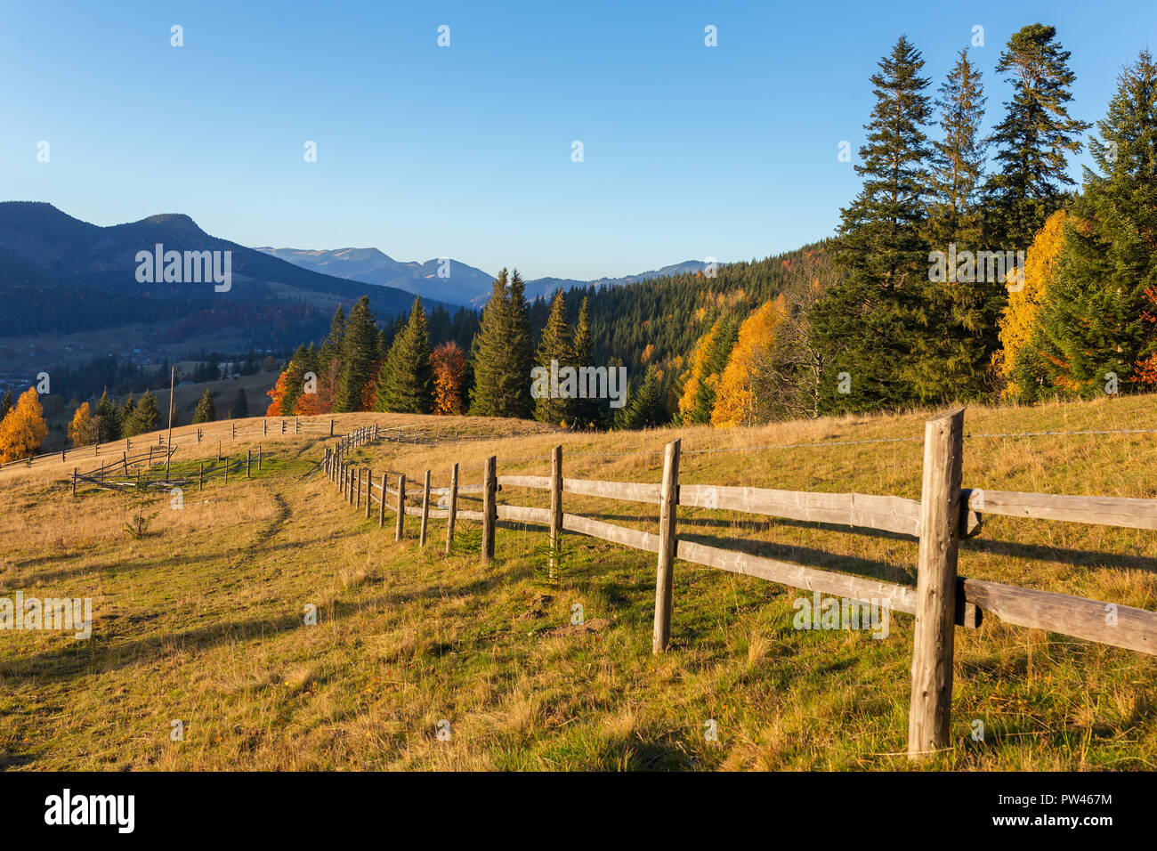 Beautiful autumn landscape with colorful trees in Carpathian mountains ...