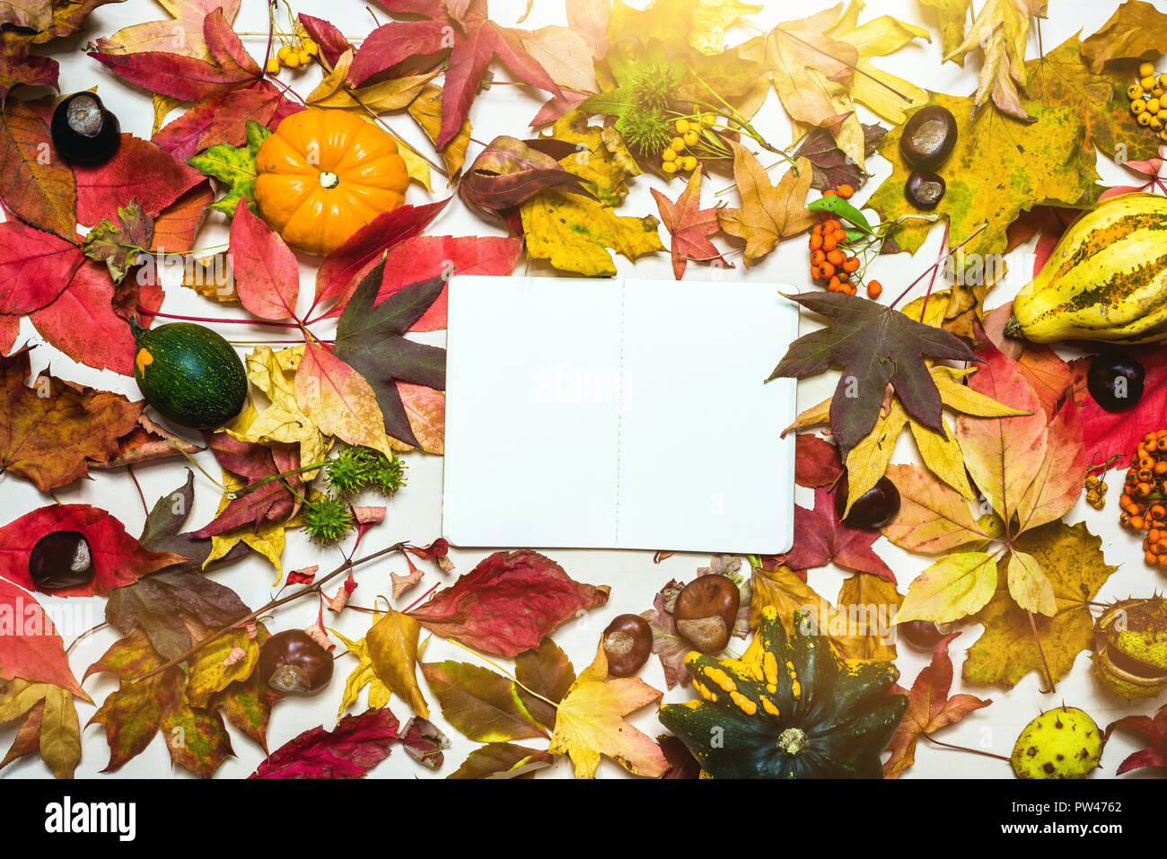 Moody autumn background picture with colorful leaves, pumpkins ...