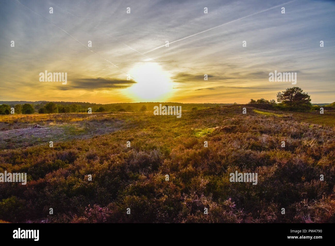 Sunrise Sunset in the Lüneburg Heath Stock Photo - Alamy