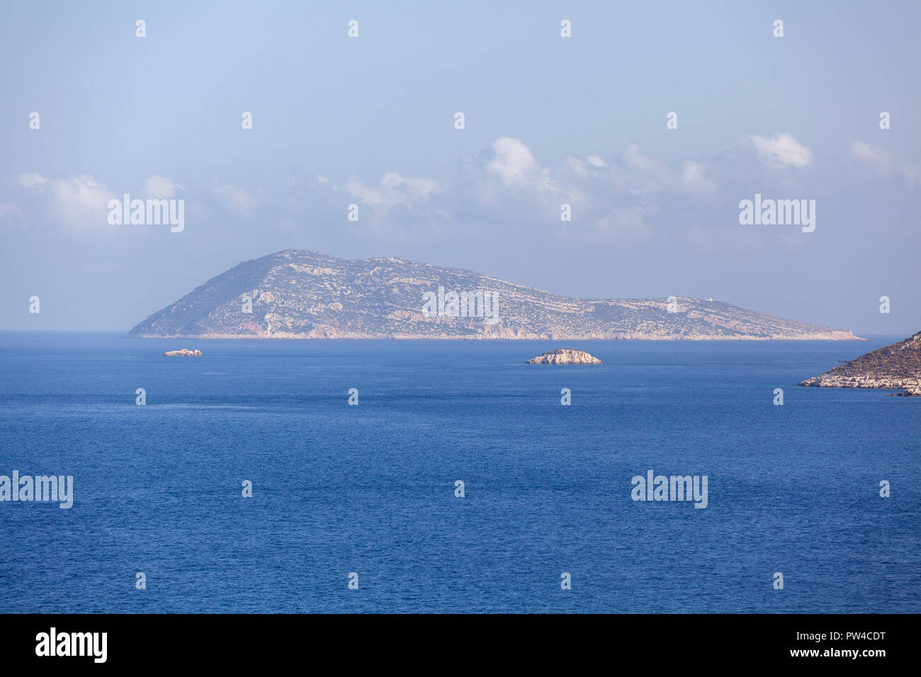 Strongyli megistis hi-res stock photography and images - Alamy