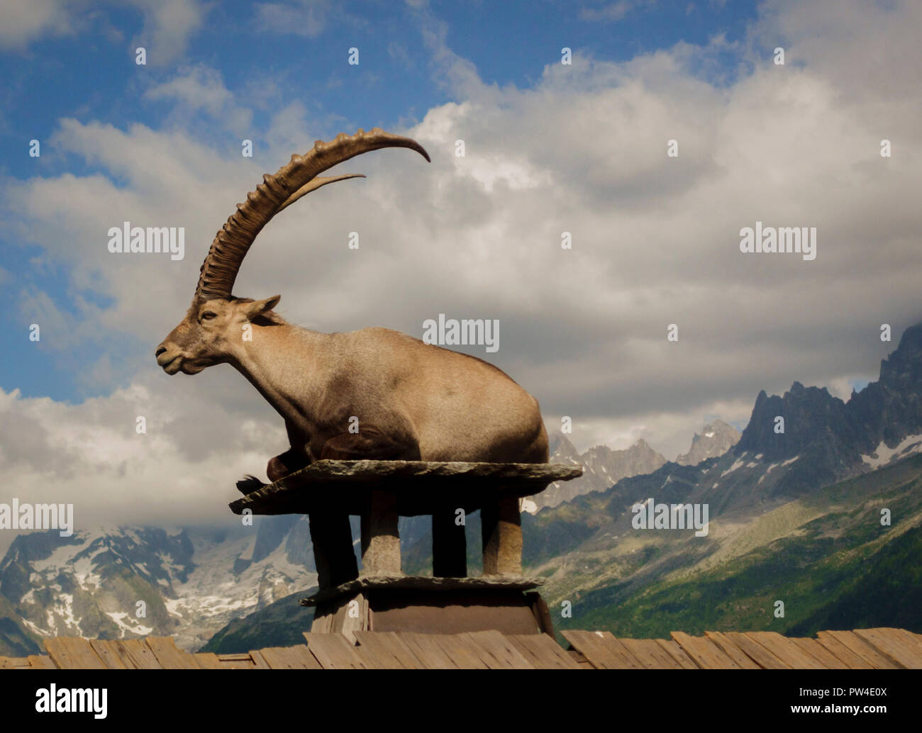 Side view of ibex sitting on chimney against mountains and cloudy sky ...