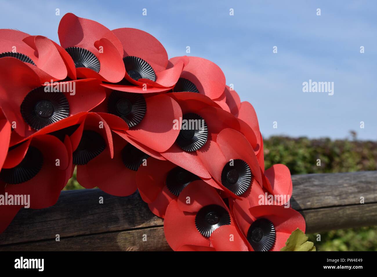 Lochnagar Mine Crater: a single memorial wreath attatched to the fence ...