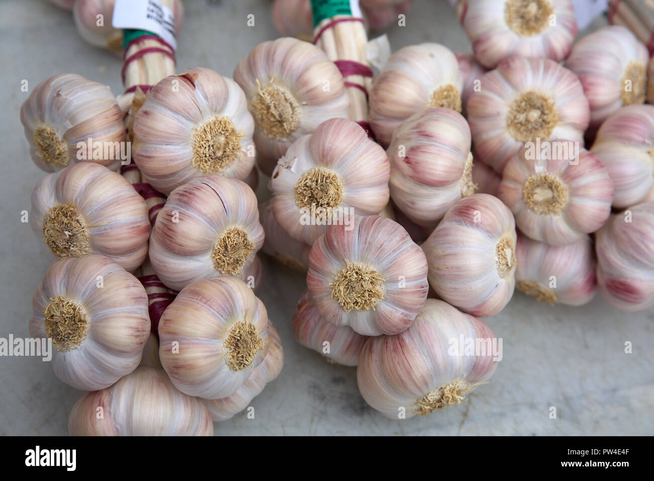Garlic properties hi-res stock photography and images - Alamy