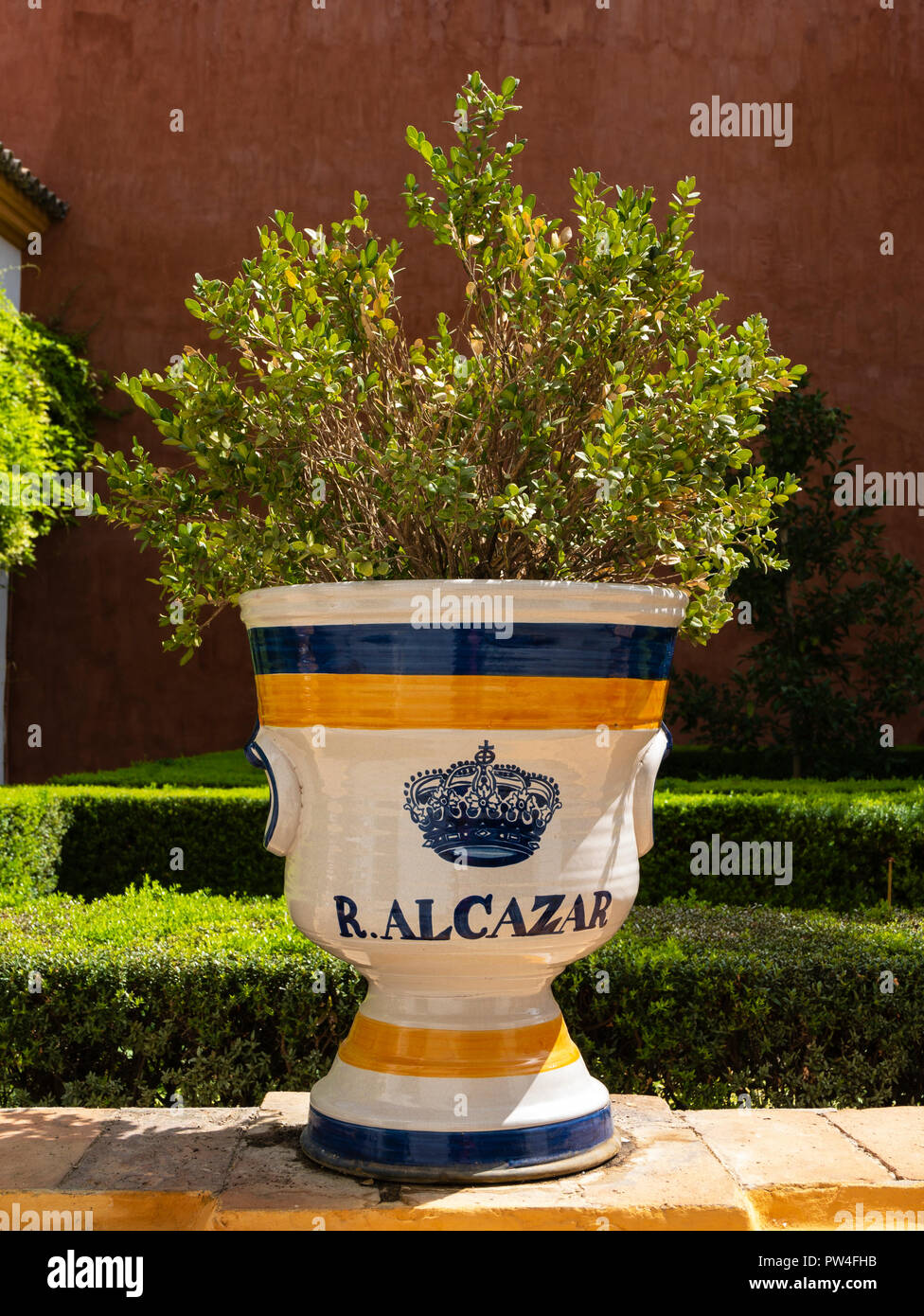 Plant pot, The Real Alcazar (Royal Alcazar) Seville, Andalusia, Spain ...