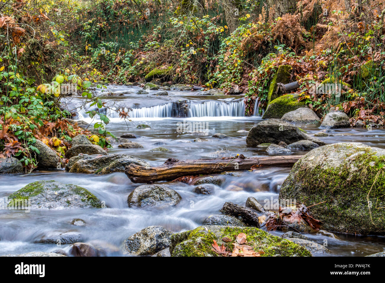 Stream flowing over rocks in park in Ashland, Oregon Stock Photo - Alamy