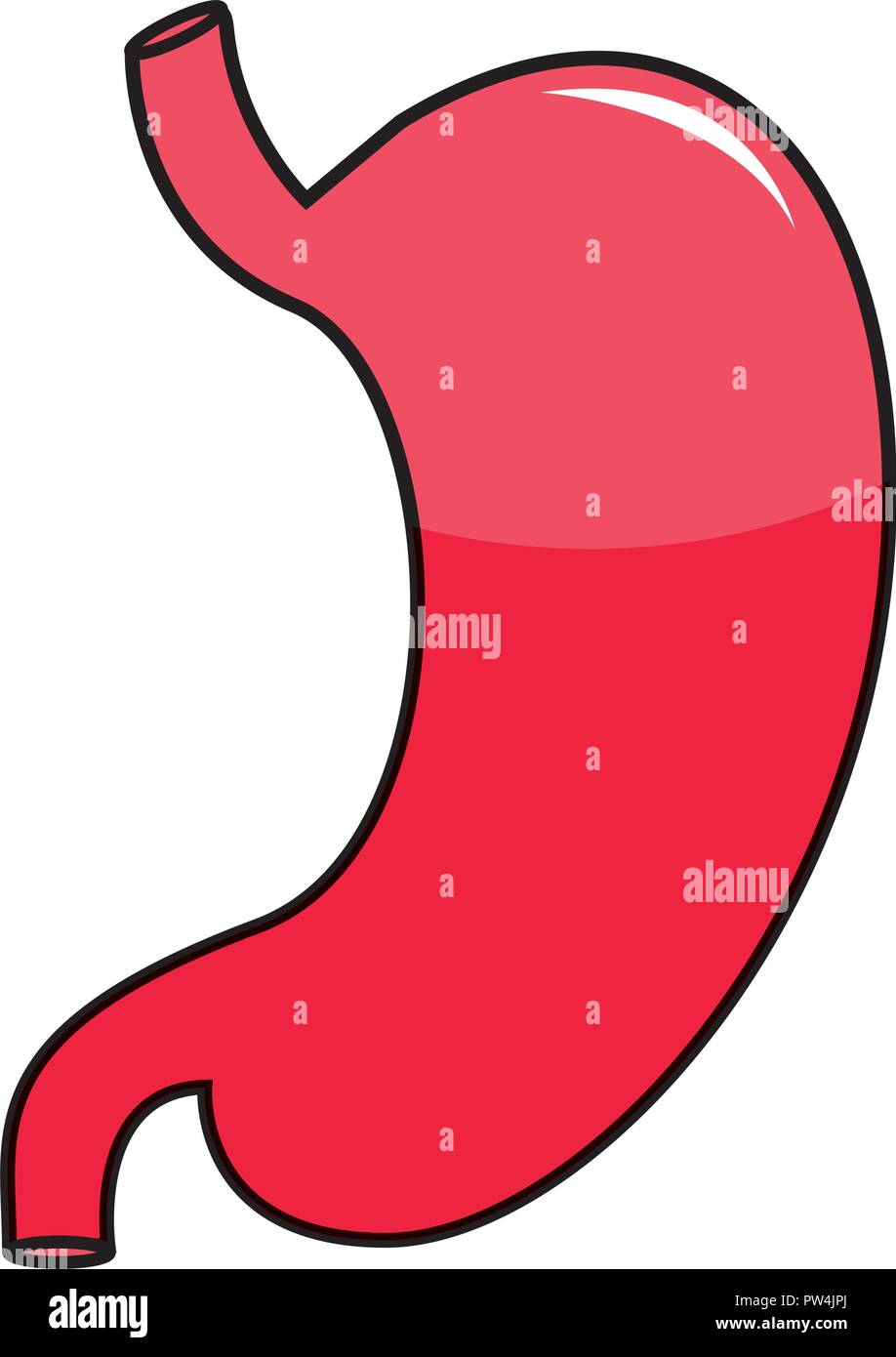 Human stomach symbol Stock Vector Image & Art - Alamy