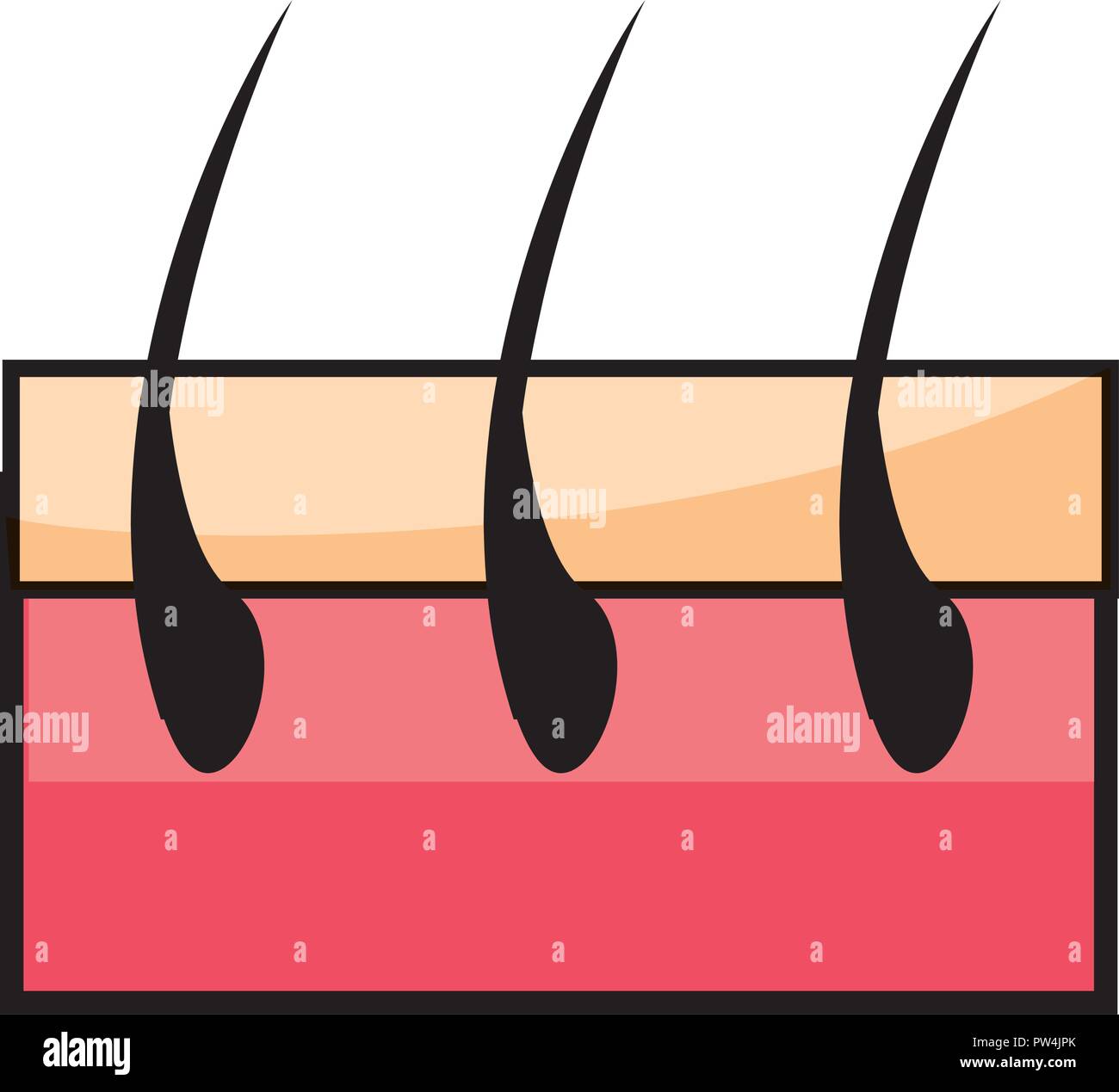 Capillary High Resolution Stock Photography and Images - Alamy