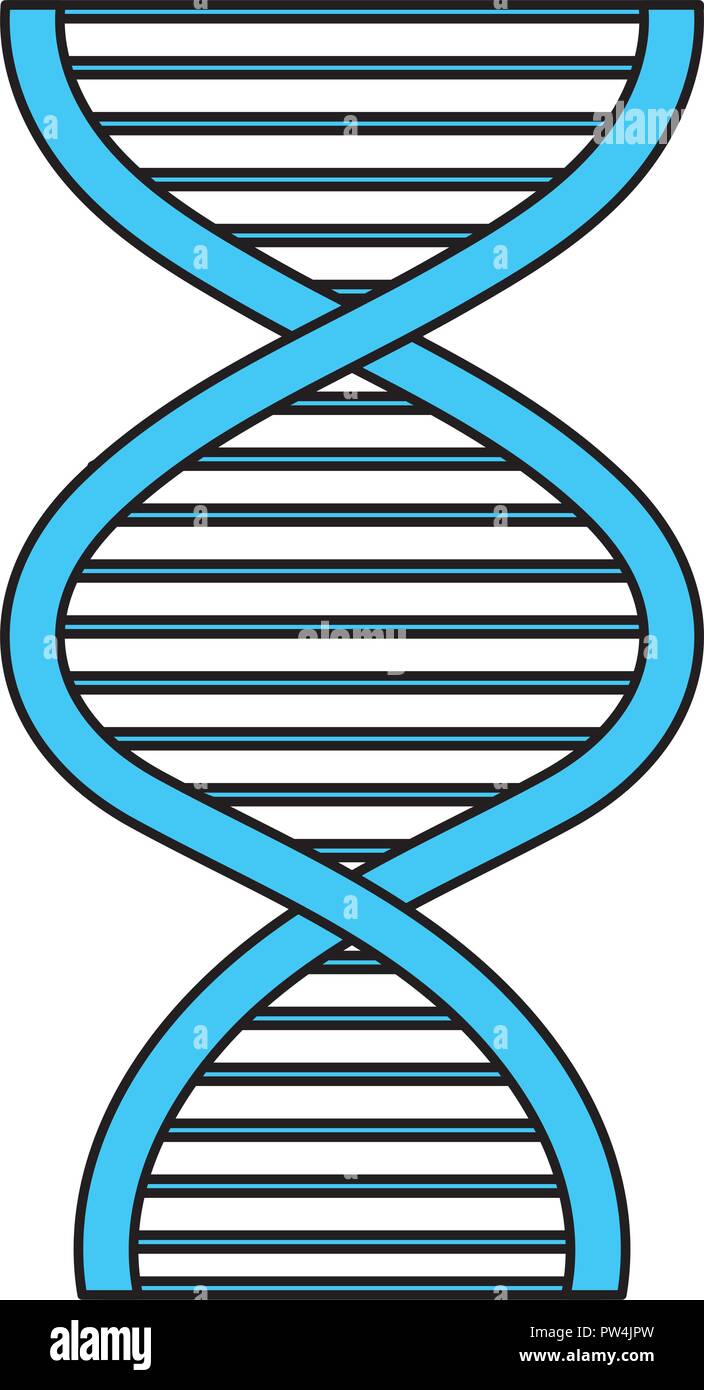 Human dna symbol Stock Vector Image & Art - Alamy