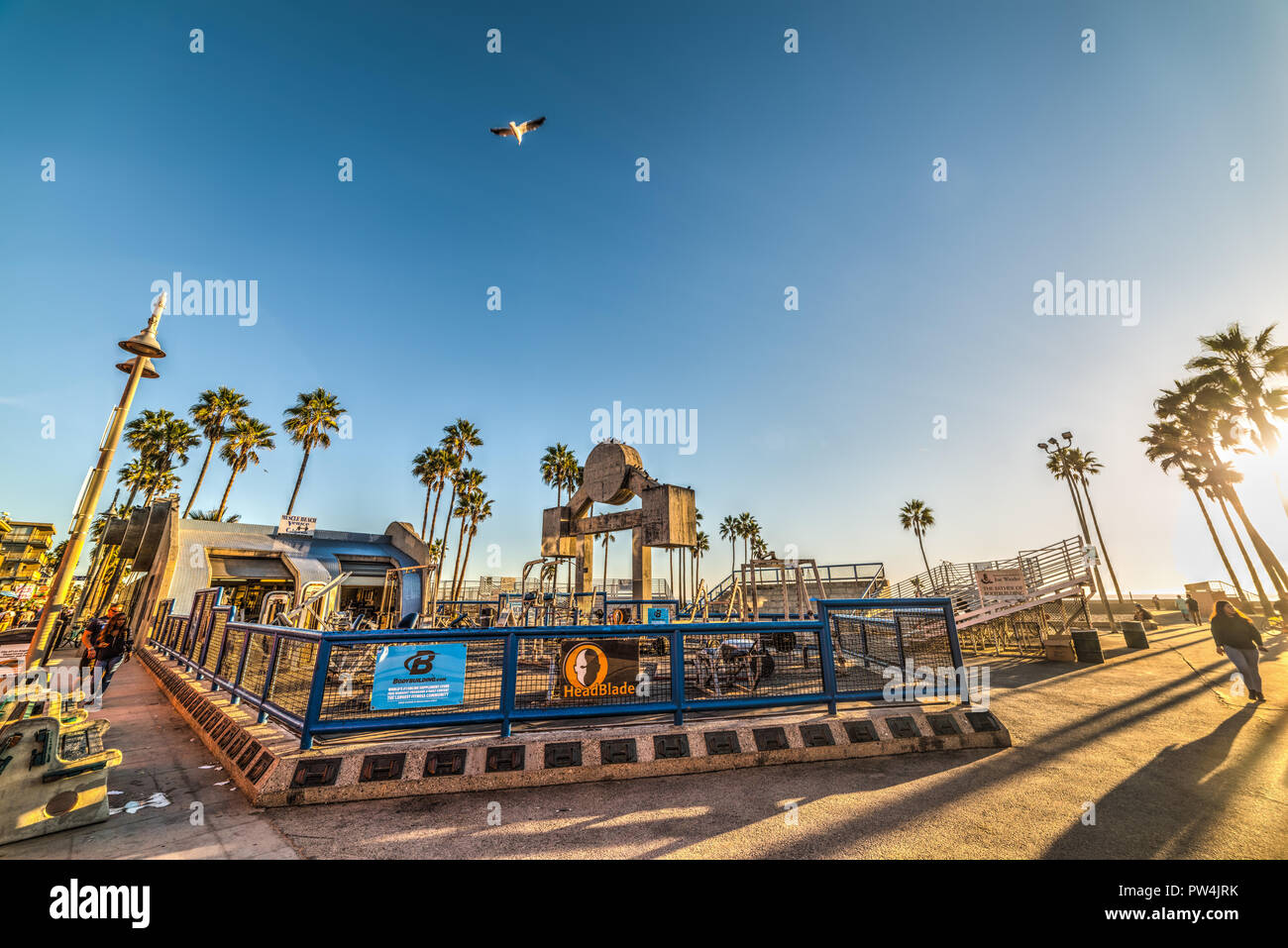 Bodybuilding muscle beach venice beach hi-res stock photography and ...