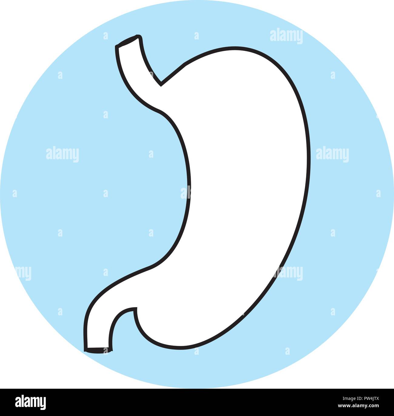 Human stomach symbol Stock Vector Image & Art - Alamy