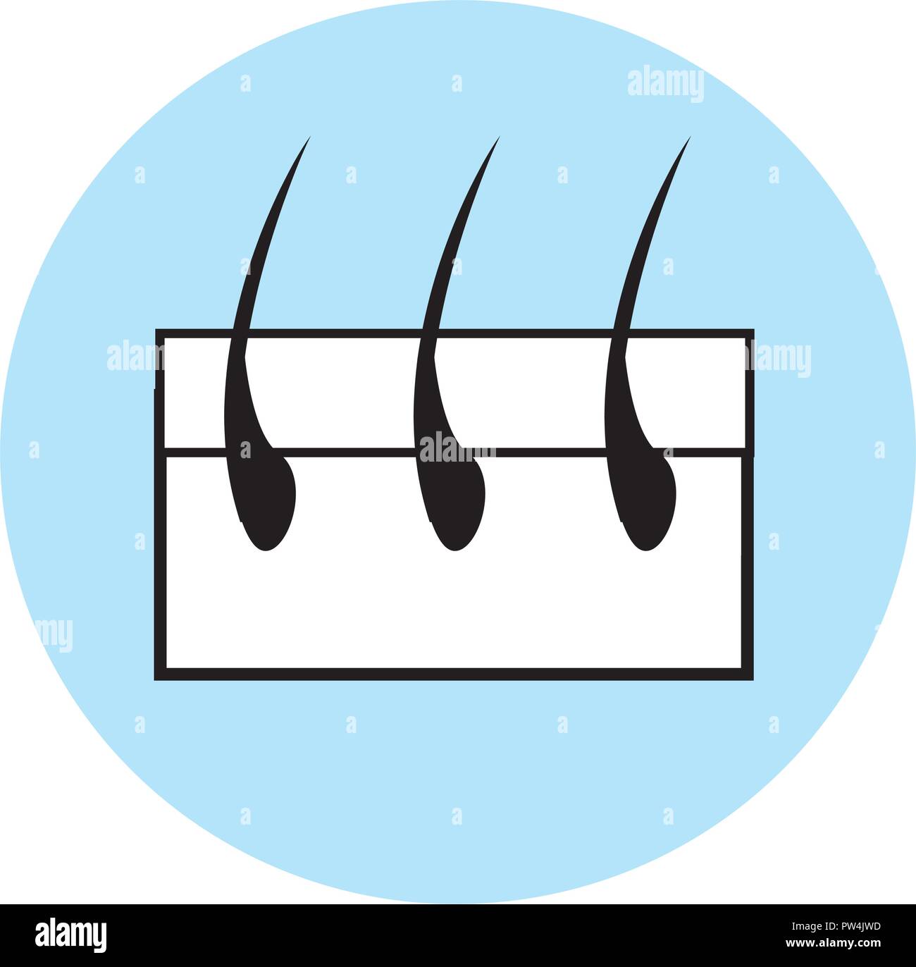 capillary hair symbol Stock Vector Image & Art - Alamy