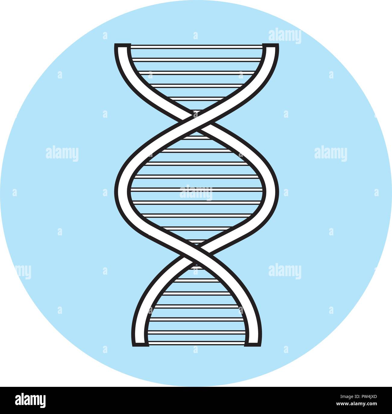 Human Evolution Illustration Stock Photos & Human Evolution ...