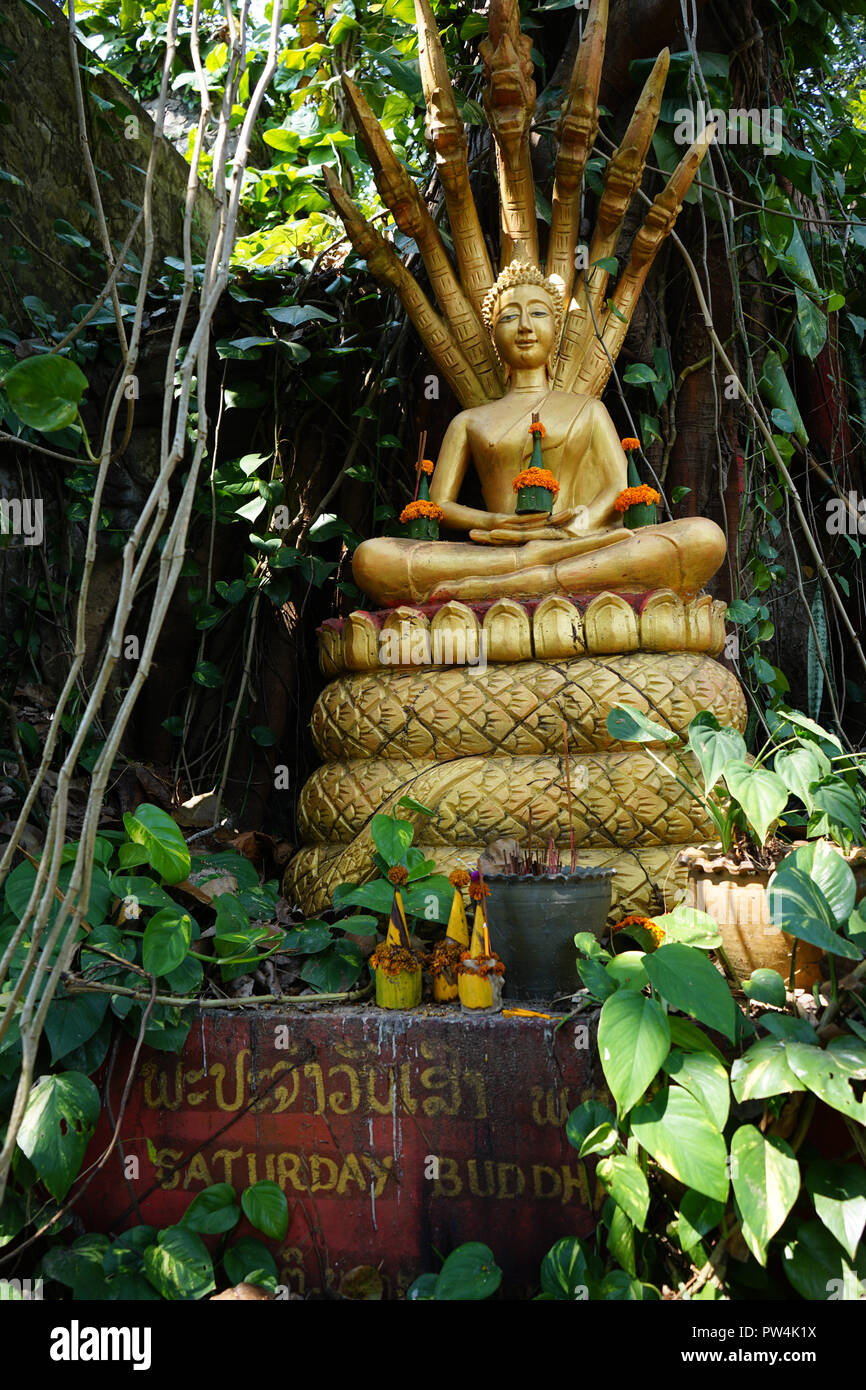 Buddha mount phousi hi-res stock photography and images - Alamy