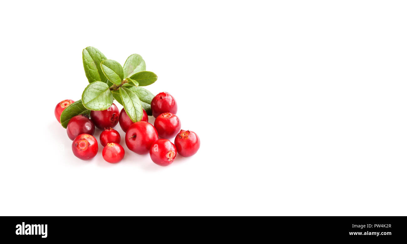 Cow berry hi-res stock photography and images - Alamy