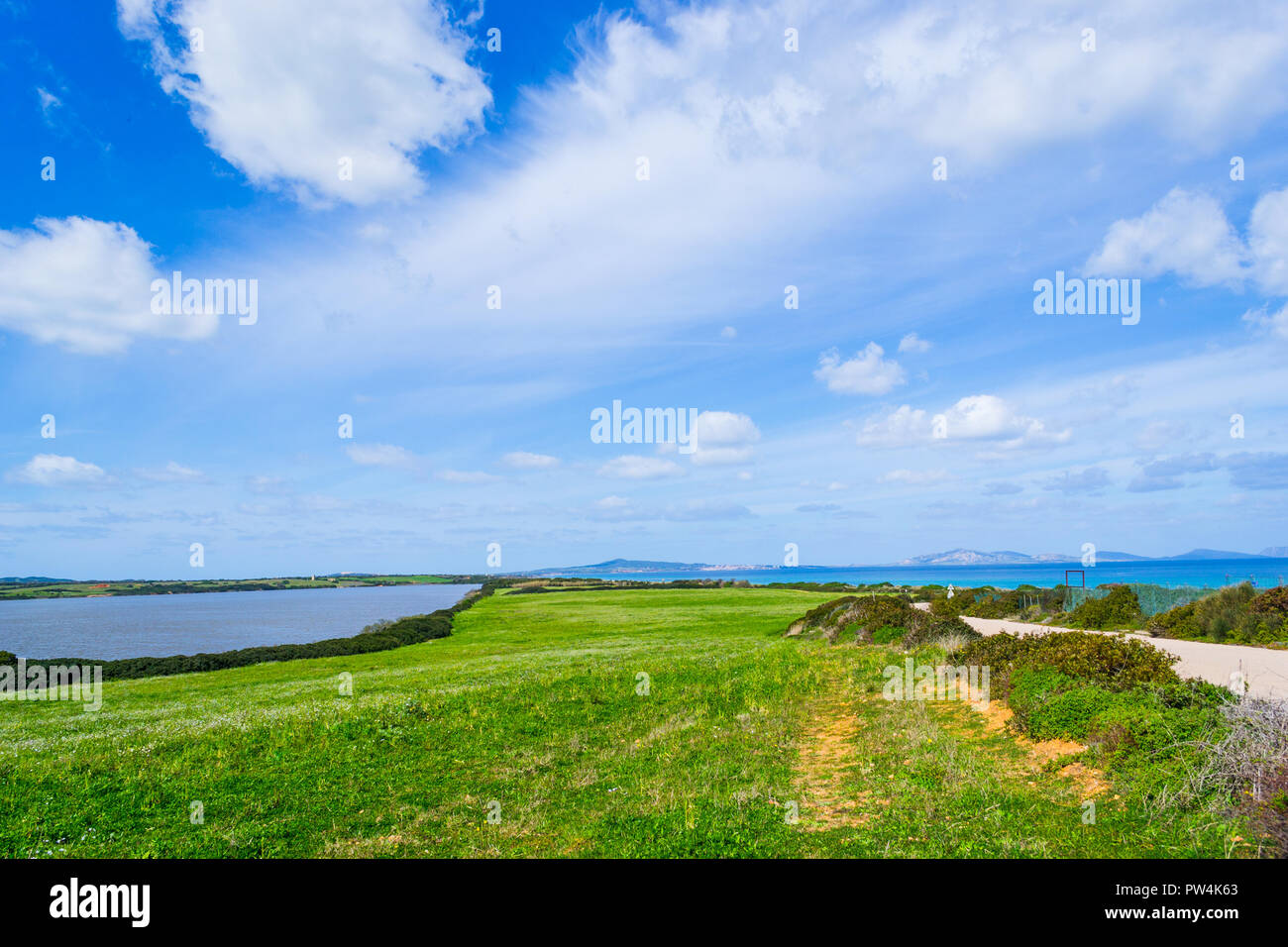 Green spikes under a blue sky in Fiume Santo, Sardinia Stock Photo - Alamy
