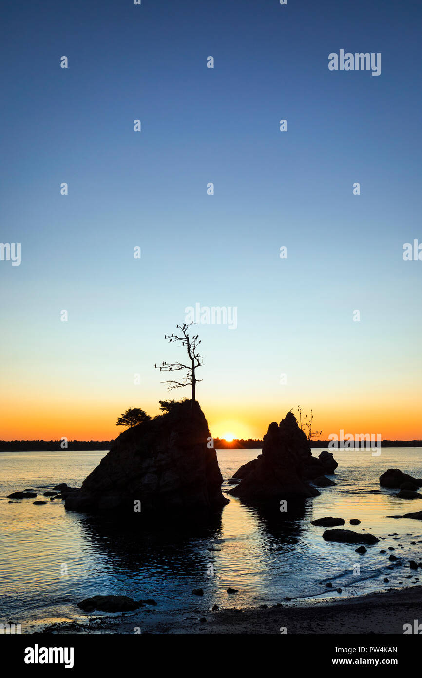 The Three Graces at sunset outside of Garibaldi, Oregon, USA Stock ...