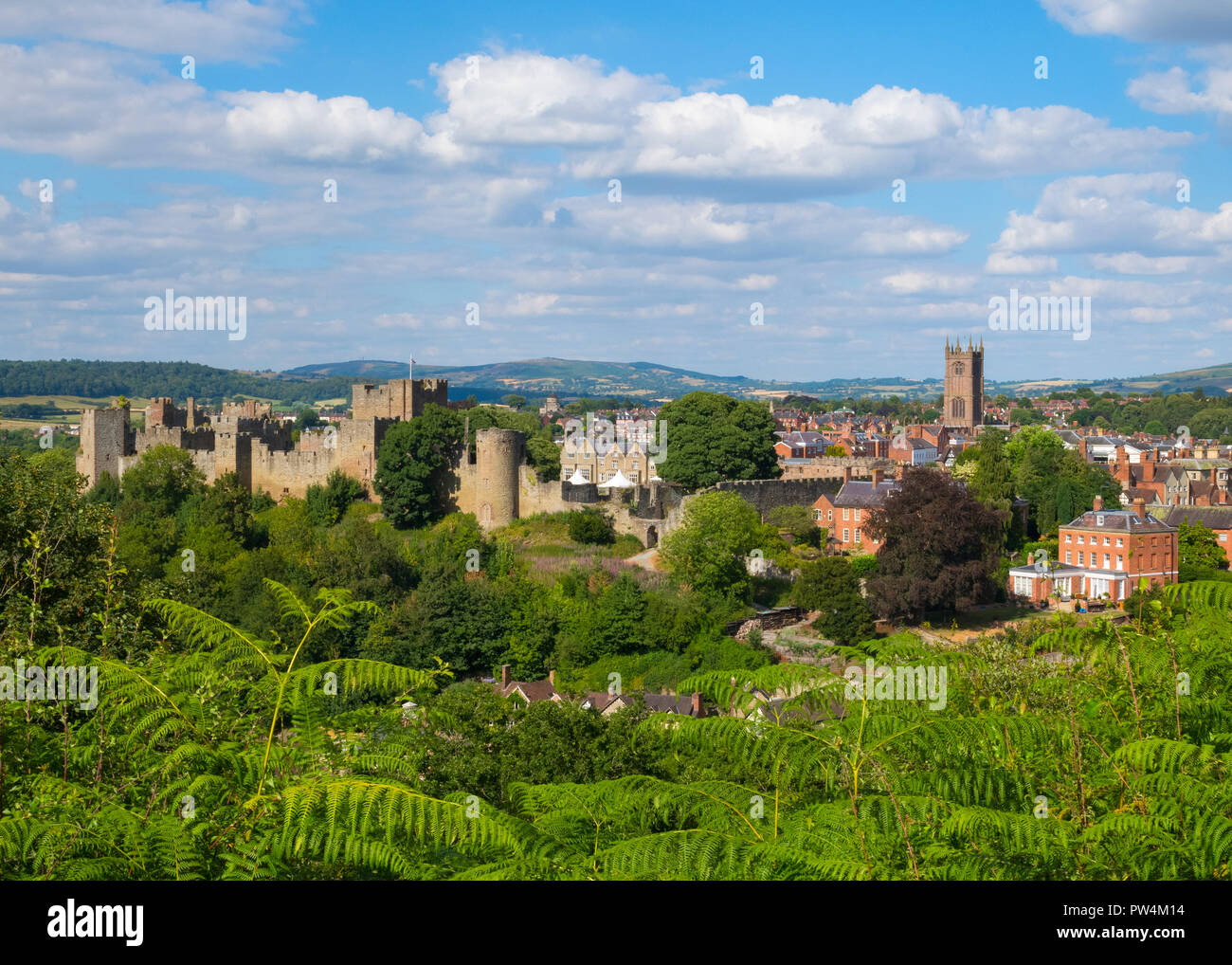 Summer sunshine on Ludlow, Shropshire, seen from Whitcliffe Common ...