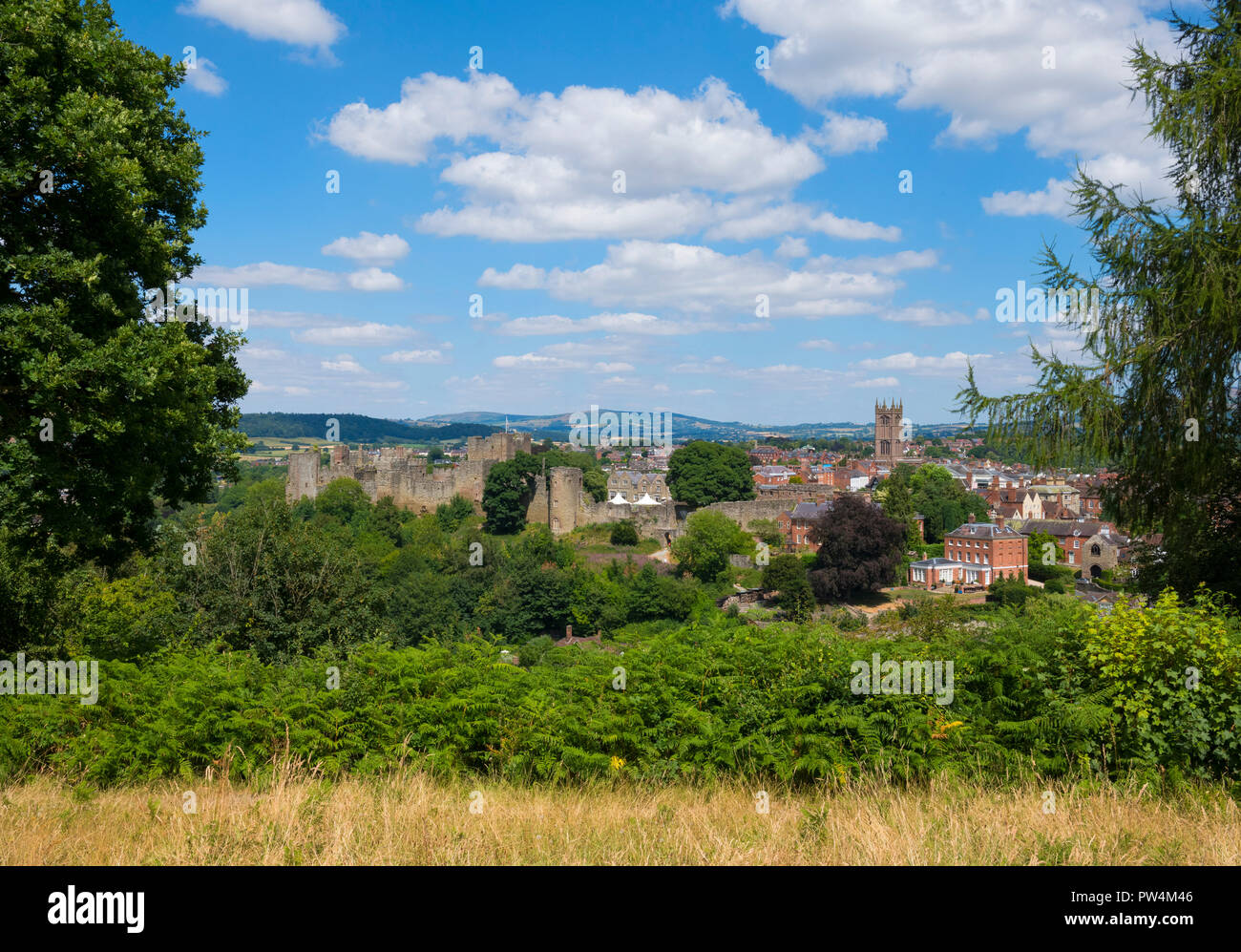 Whitcliffe Common Ludlow High Resolution Stock Photography and Images ...