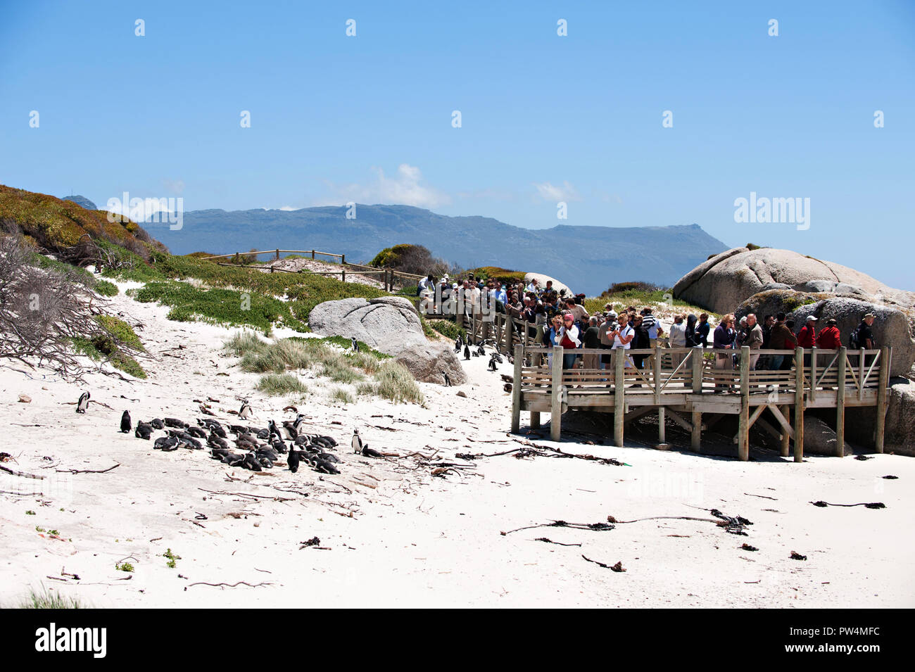 Tourist viewing platform at Boulders Beach Stock Photo - Alamy