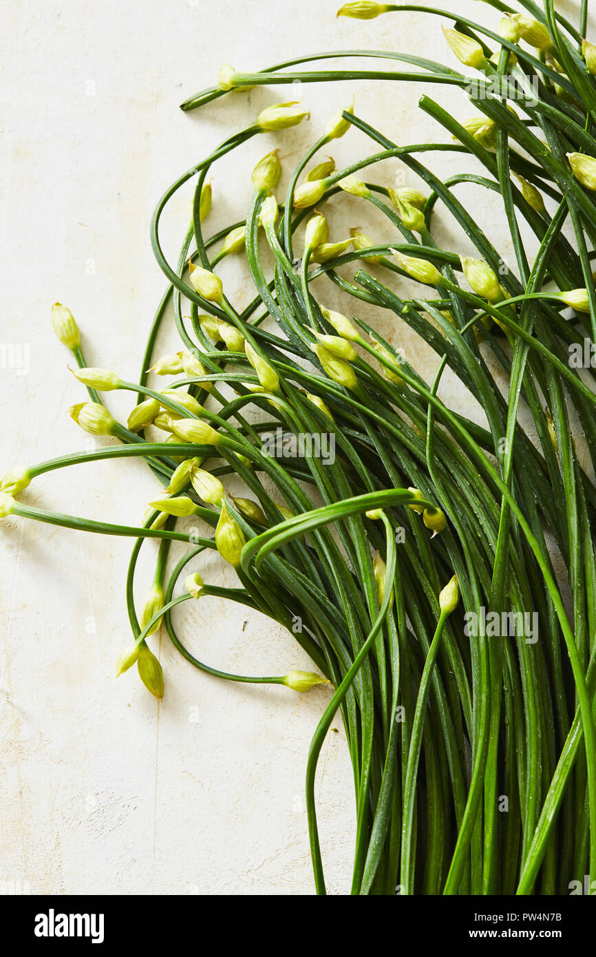 Chives leaves hi-res stock photography and images - Alamy