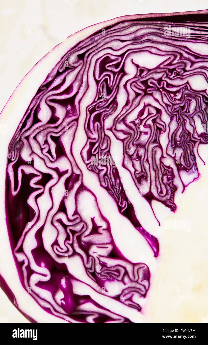 Cross section of purple cabbage Stock Photo - Alamy