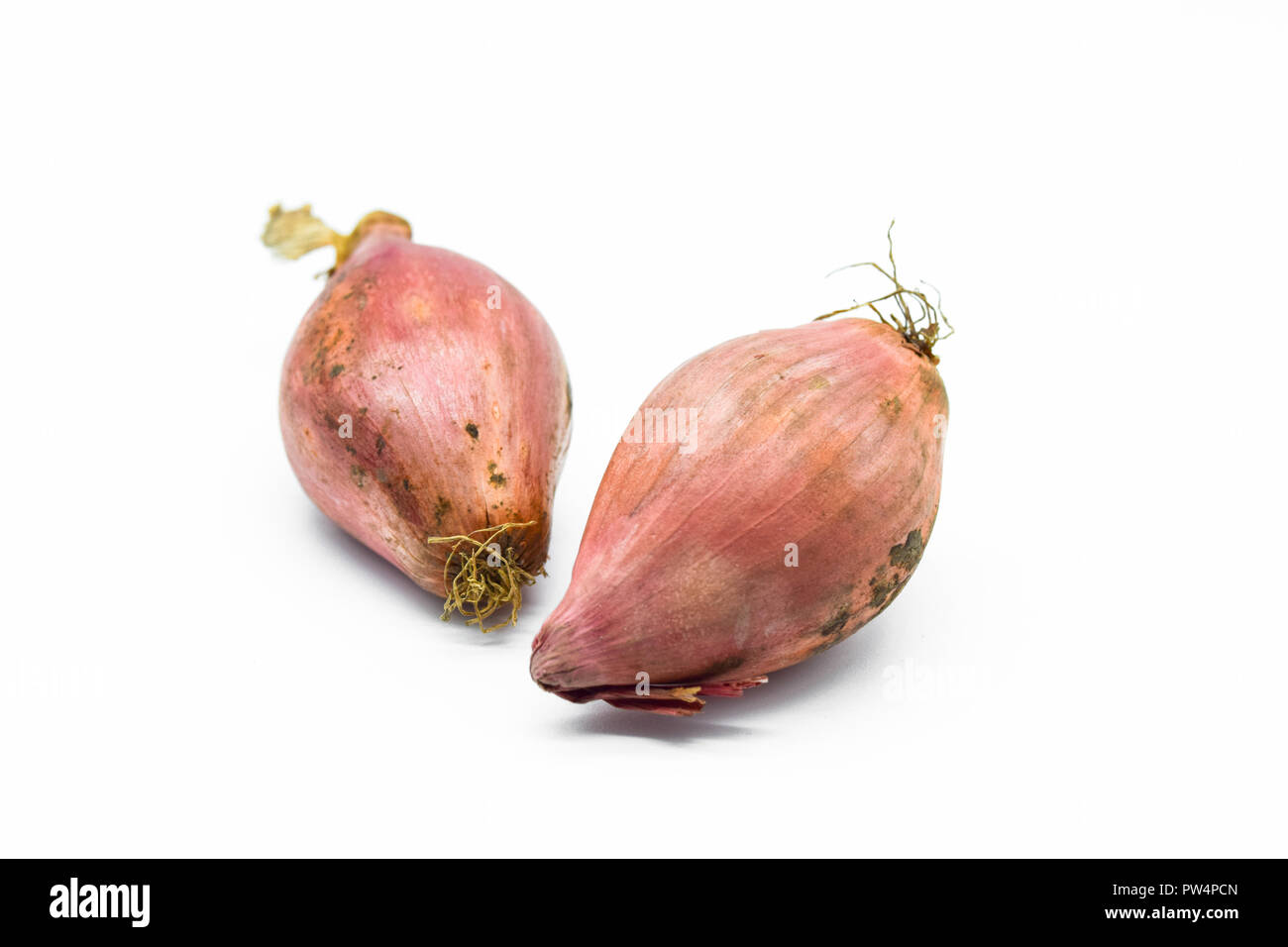 Shallots isolated on white background Stock Photo - Alamy