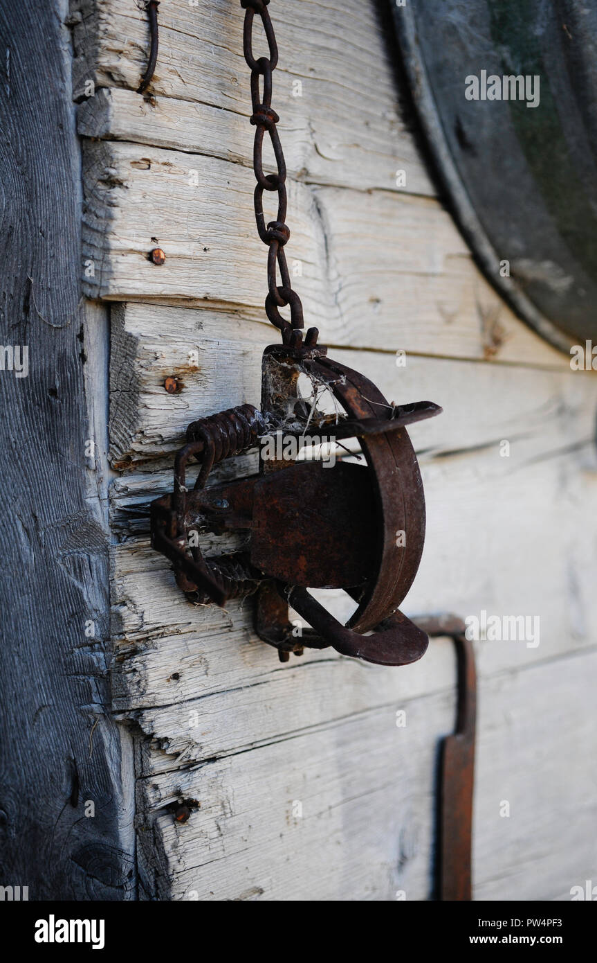 Fry trap hi-res stock photography and images - Alamy