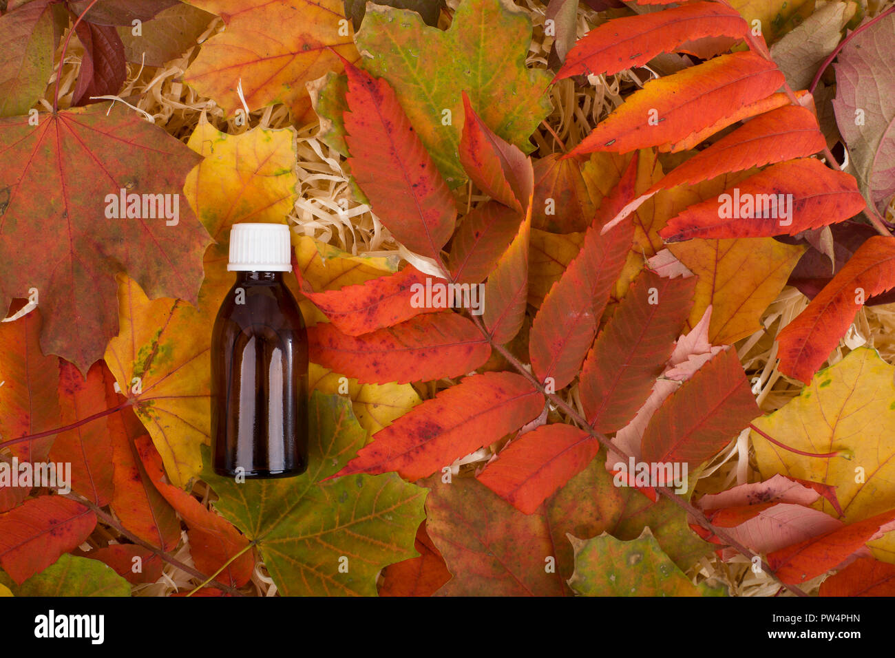 Perfume bottle autumn leaves hi-res stock photography and images - Alamy