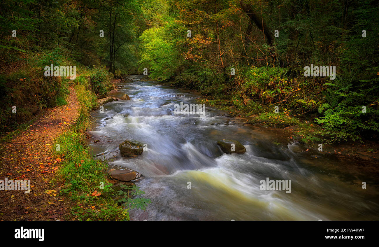Upper Clydach River High Resolution Stock Photography and Images - Alamy