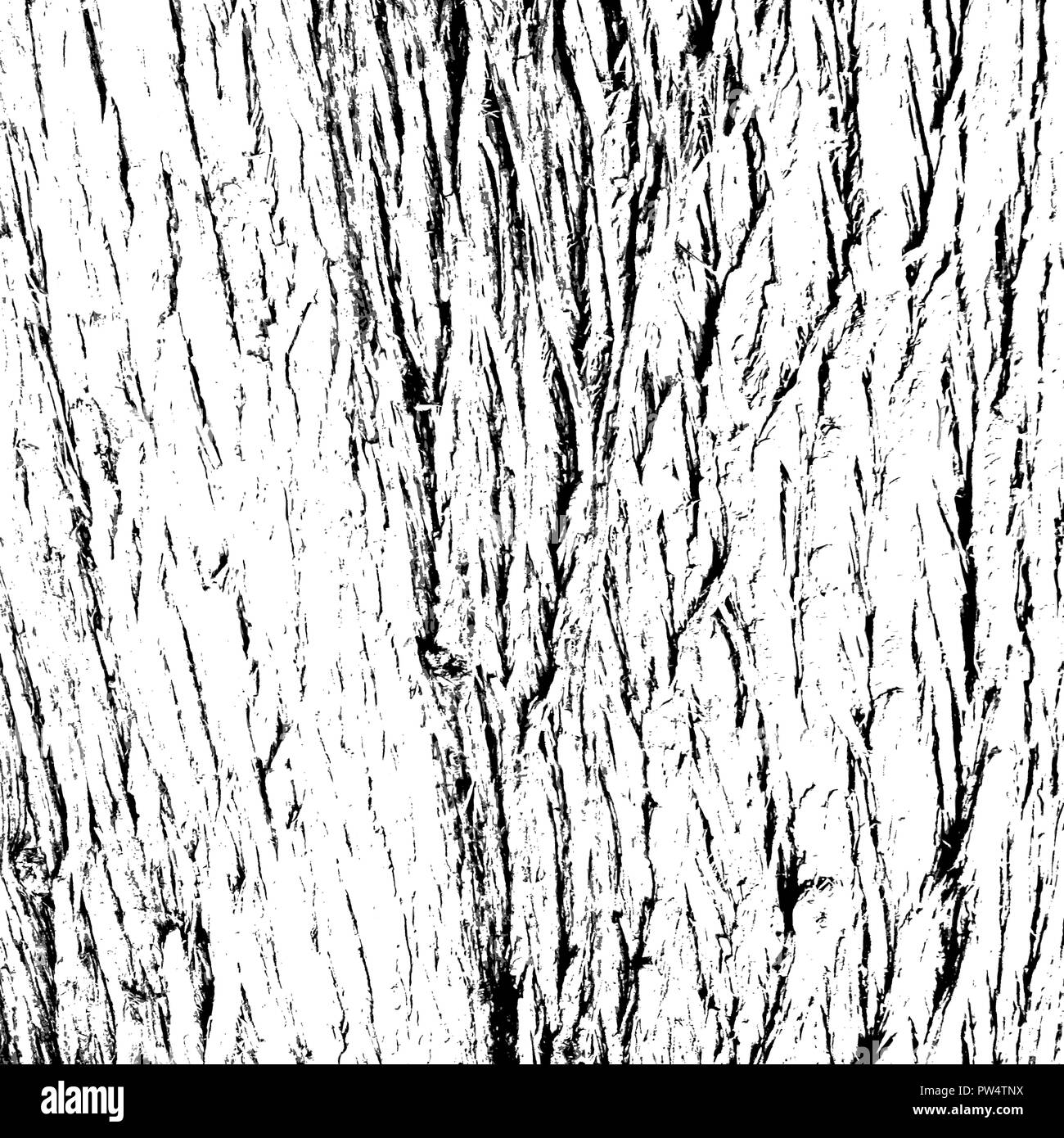 vector tree bark grayscale monochrome decorative texture isolated on ...