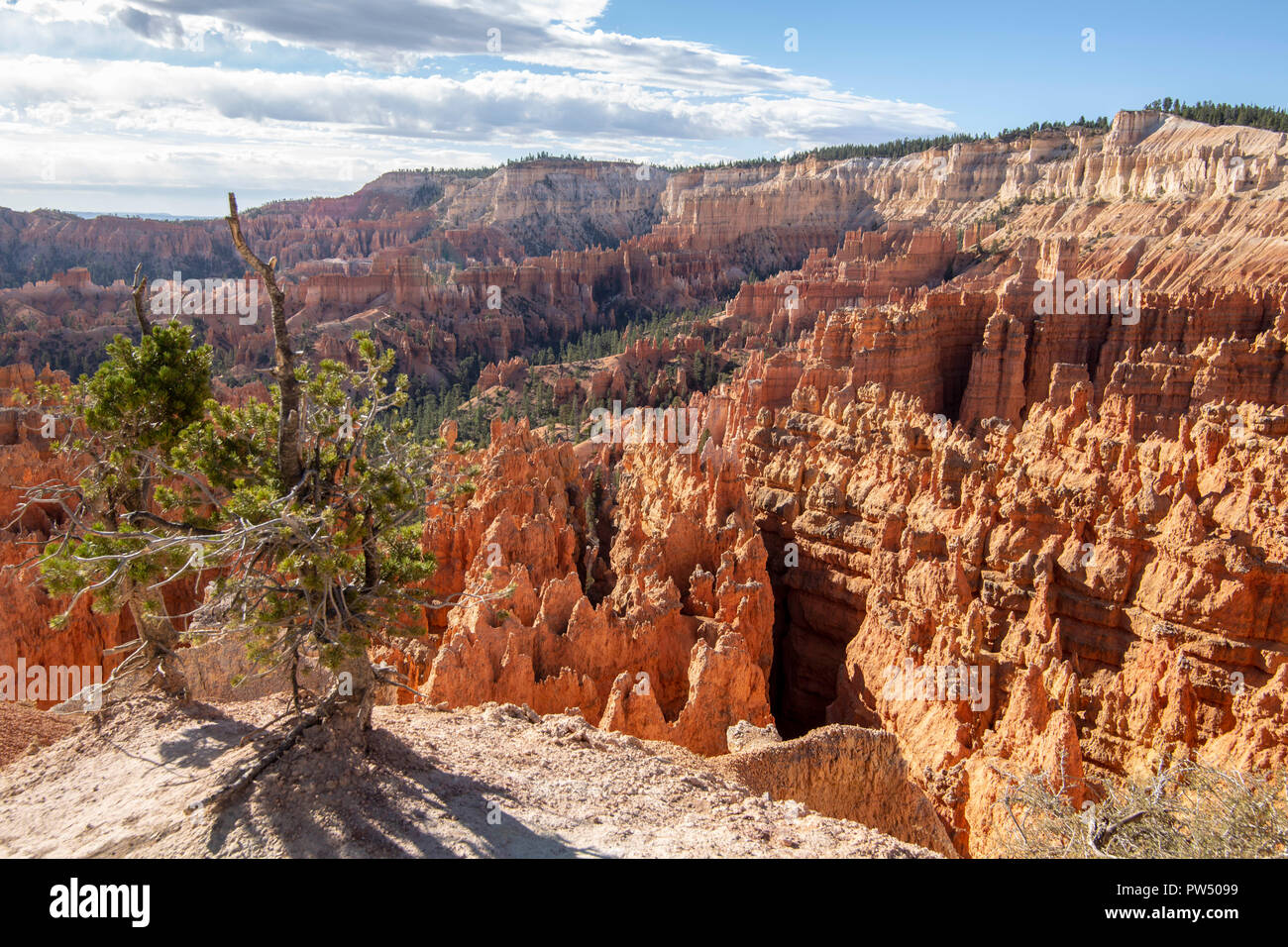 Bryce Canyon in Utah Stock Photo - Alamy